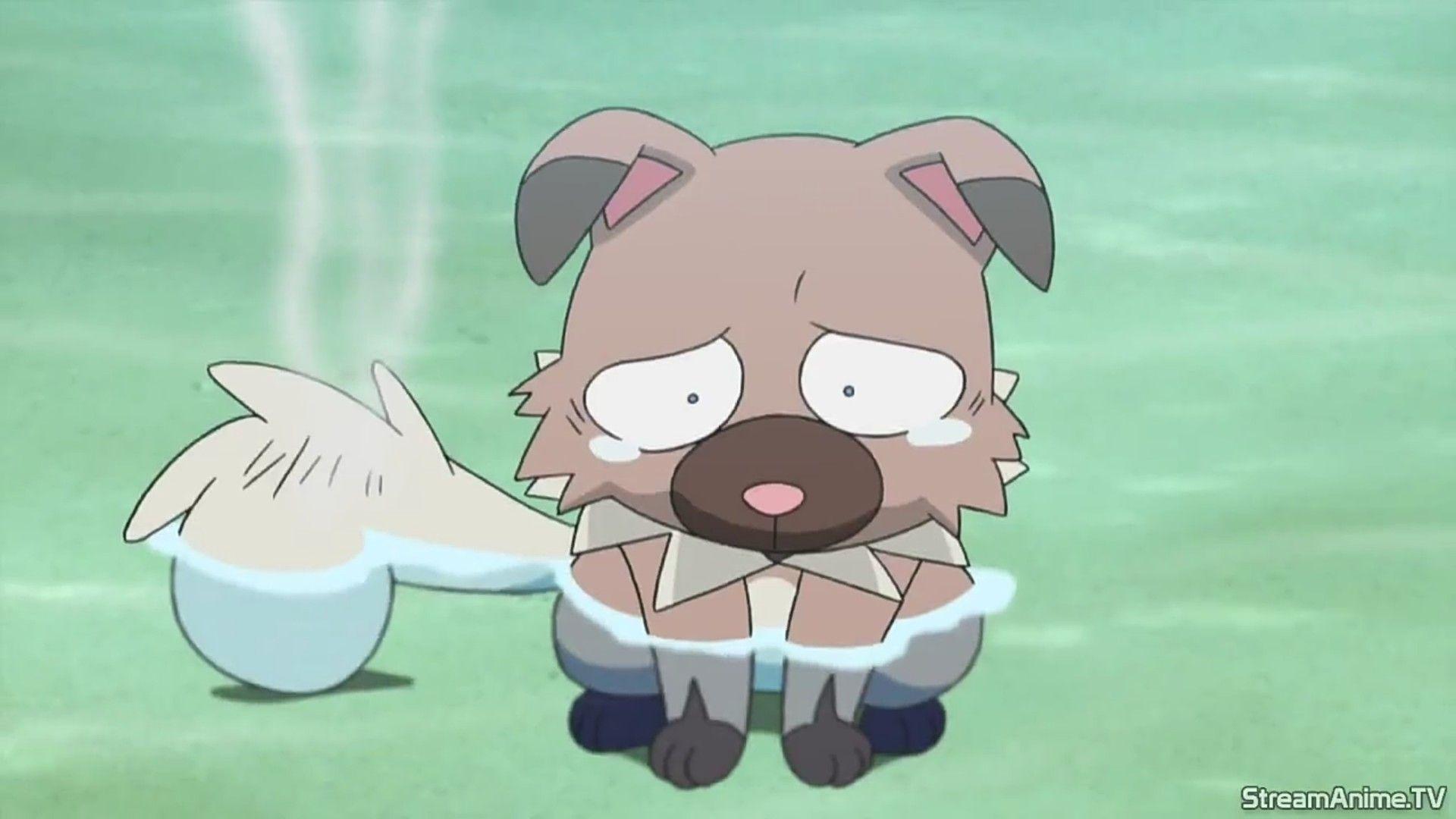 Rockruff Wallpapers - Top Free Rockruff Backgrounds - WallpaperAccess