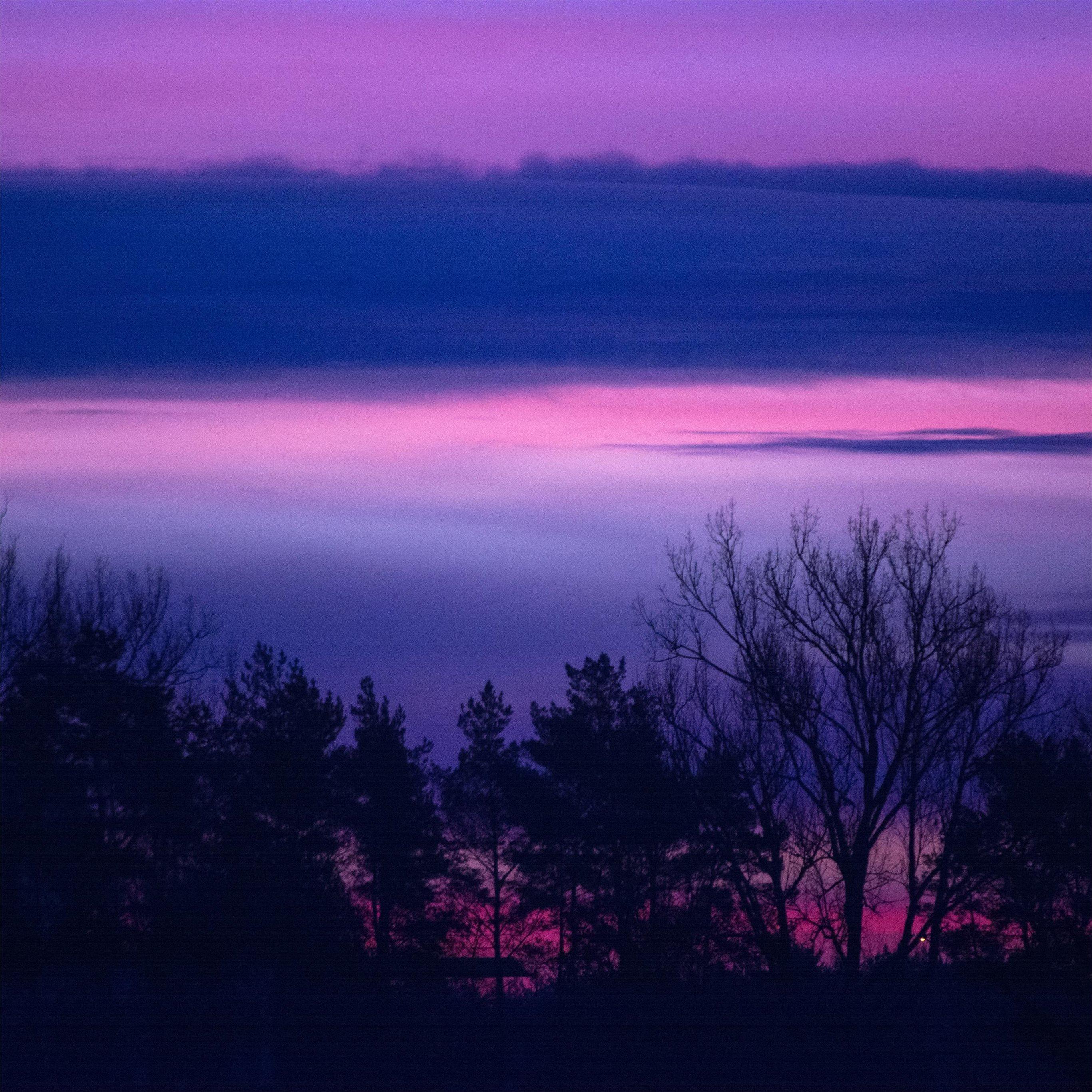 Lilac Tree Wallpapers - Top Free Lilac Tree Backgrounds - WallpaperAccess