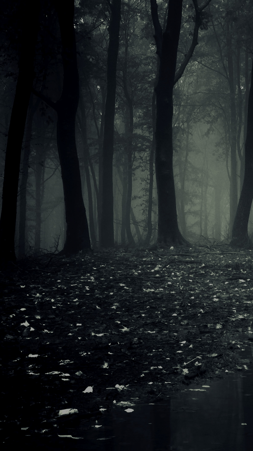 Dark HDR Wallpapers - Top Free Dark HDR Backgrounds - WallpaperAccess