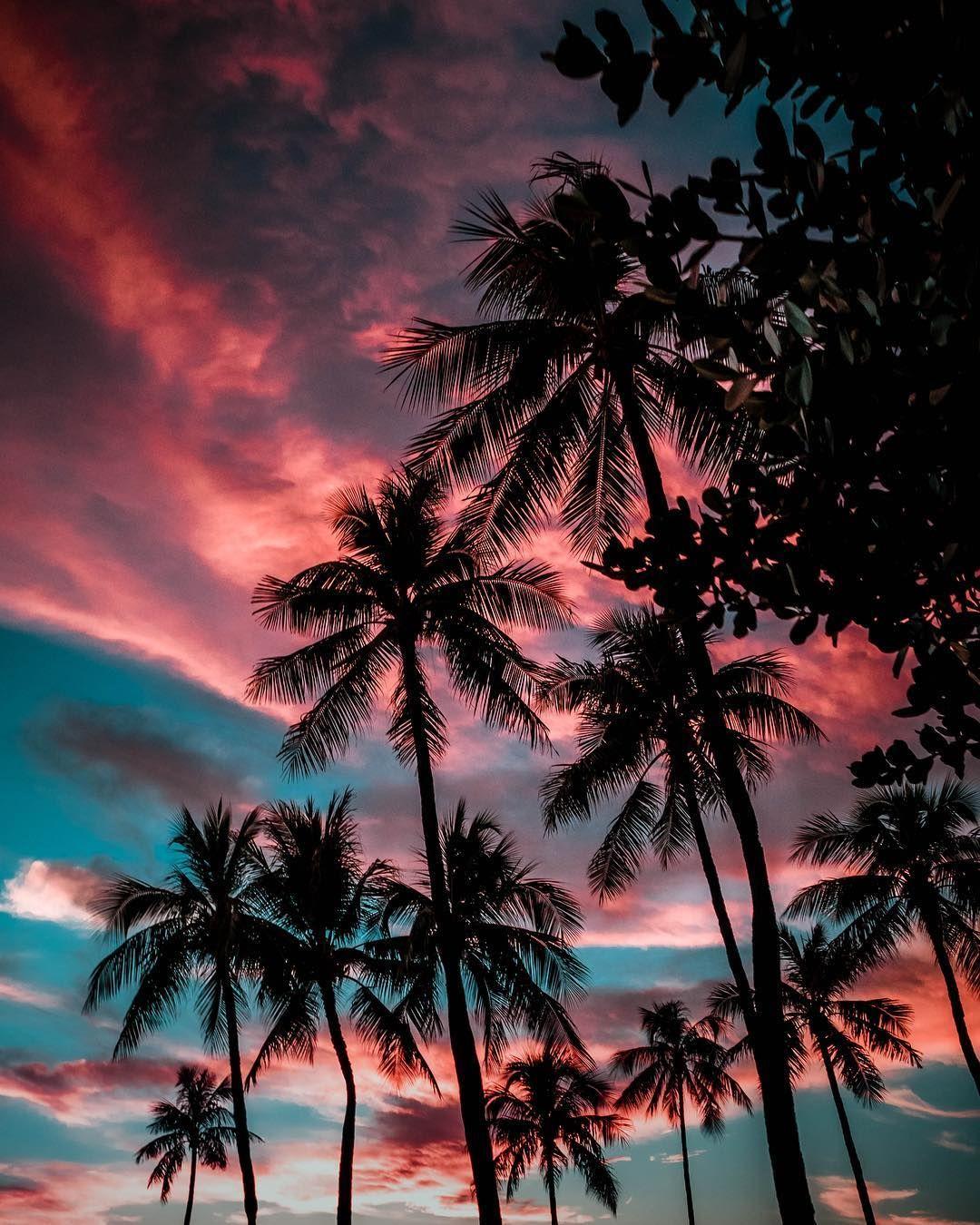 Hawaiian Luau Wallpapers - Top Free Hawaiian Luau Backgrounds ...