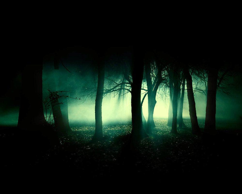 Ghost Forest Night Wallpapers - Top Free Ghost Forest Night Backgrounds ...