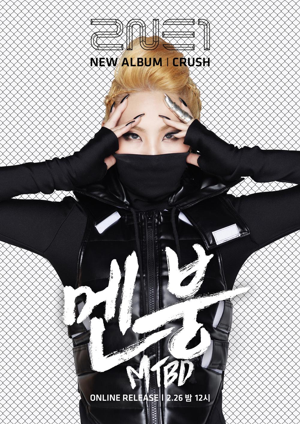 CL 2NE1 Wallpapers - Top Free CL 2NE1 Backgrounds - WallpaperAccess