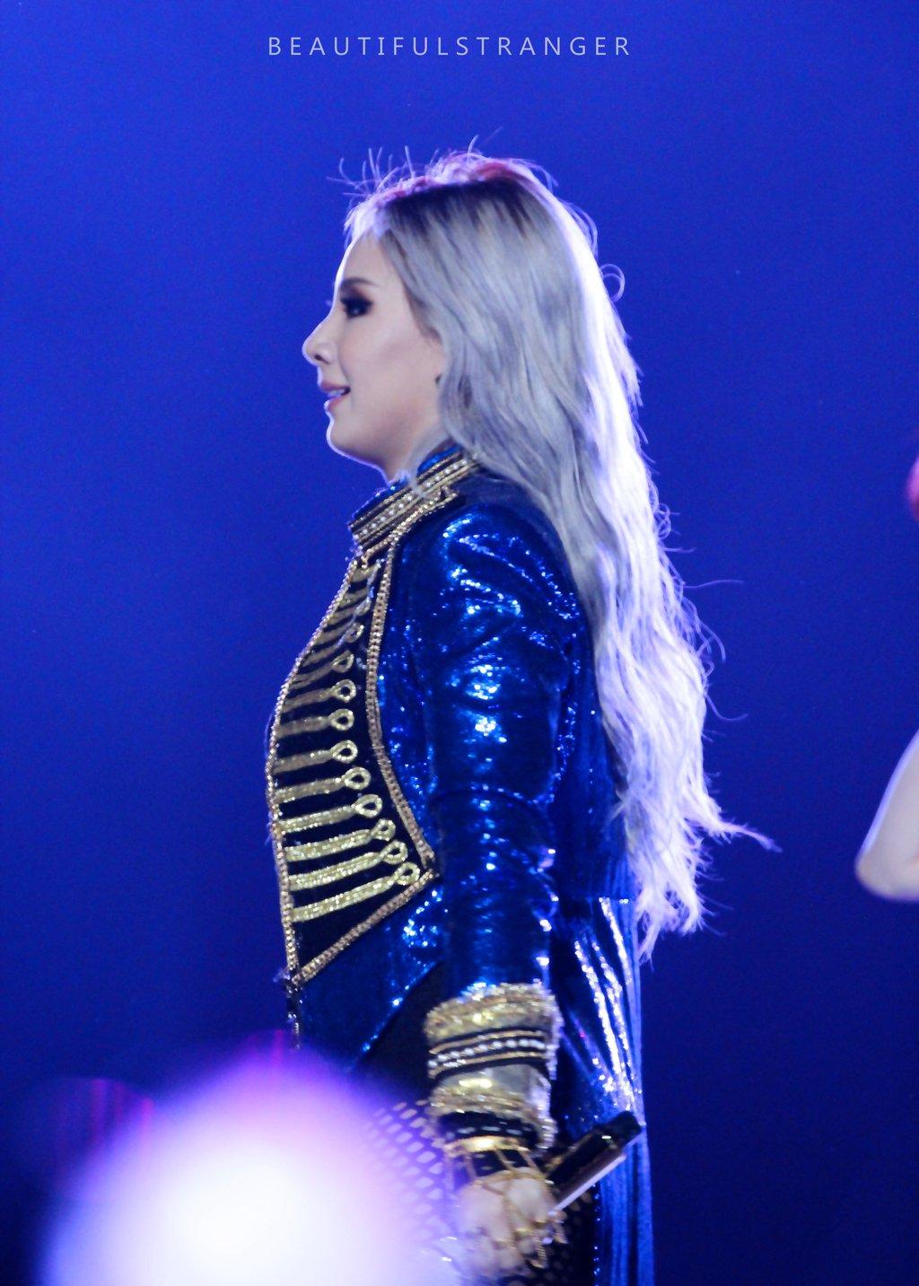 CL 2NE1 Wallpapers - Top Free CL 2NE1 Backgrounds - WallpaperAccess