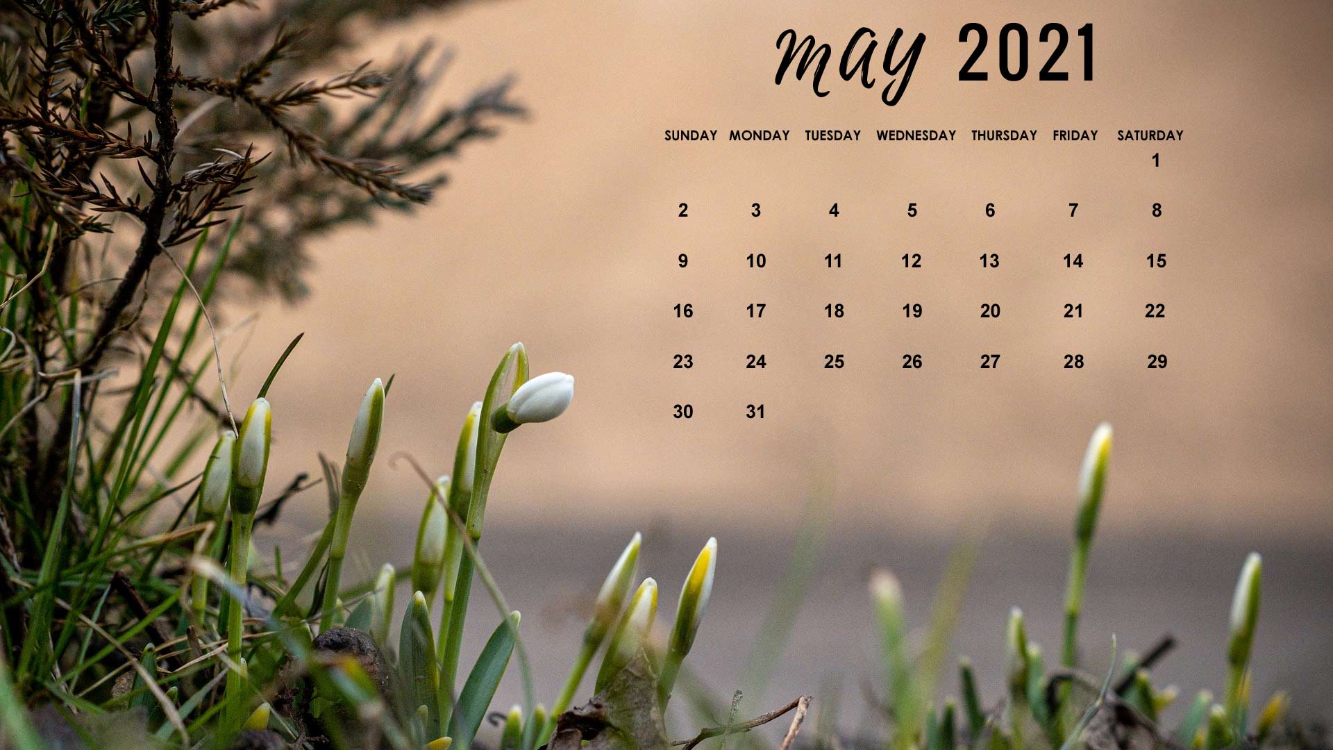 May Spring Wallpapers - Top Free May Spring Backgrounds - WallpaperAccess