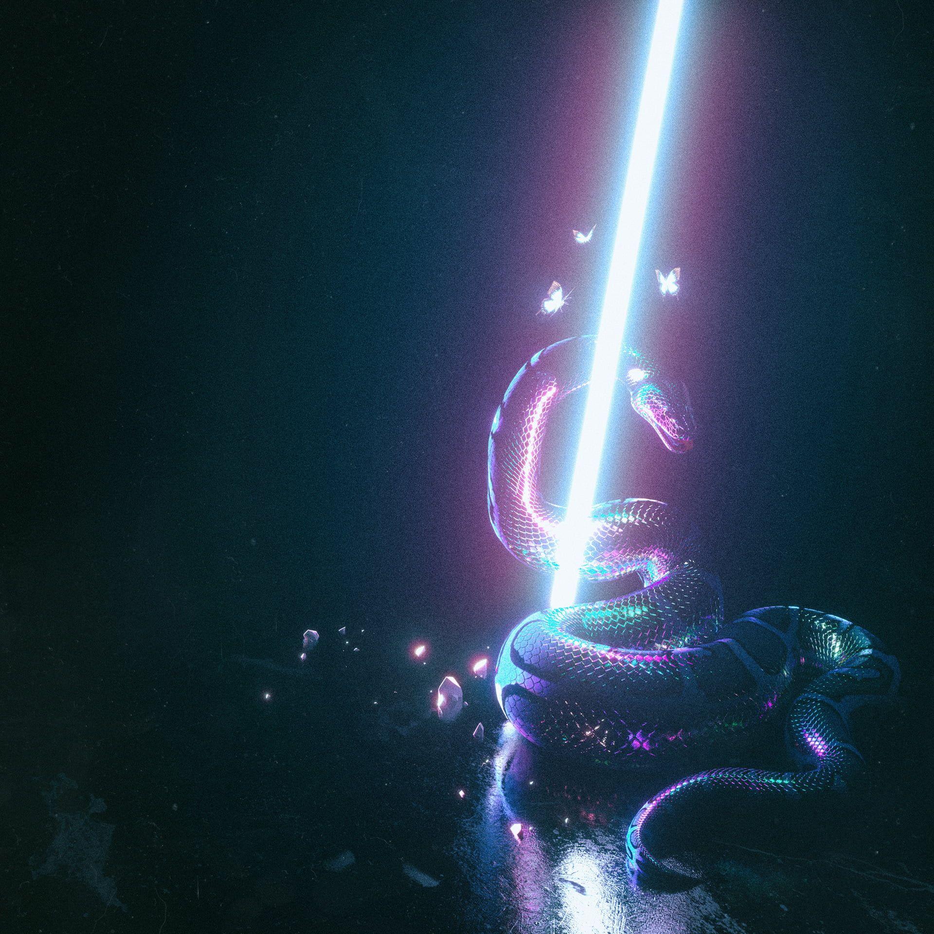 4D Neon Wallpapers - Top Free 4D Neon Backgrounds - WallpaperAccess