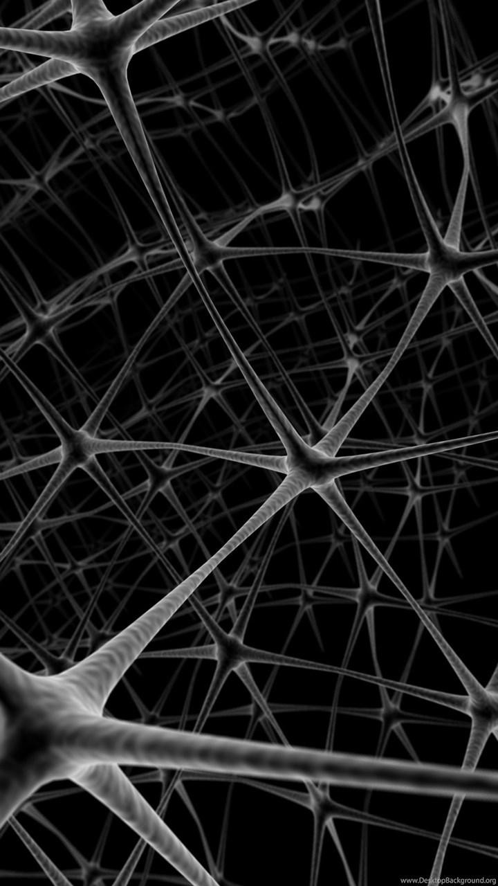 Brain Medical Wallpapers - Top Free Brain Medical Backgrounds ...