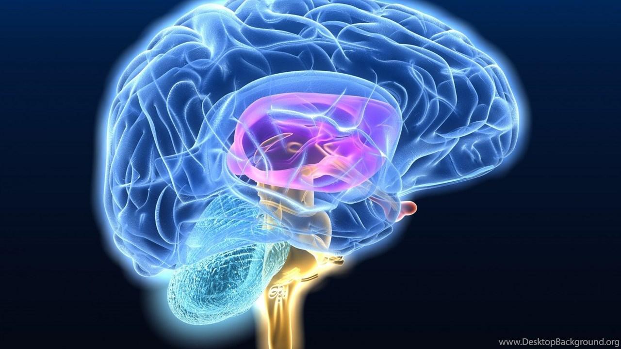 Brain Medical Wallpapers - Top Free Brain Medical Backgrounds ...