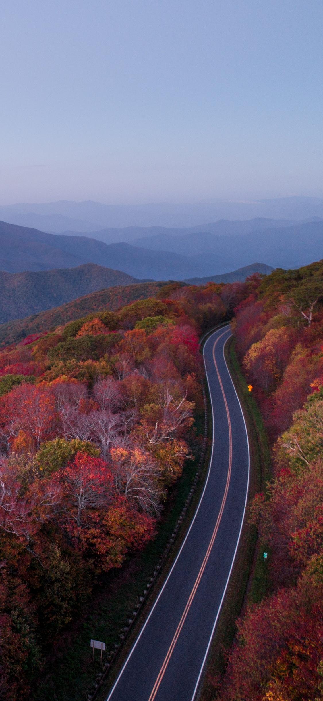 Autumn Forest iPhone Wallpapers - Top Free Autumn Forest iPhone ...