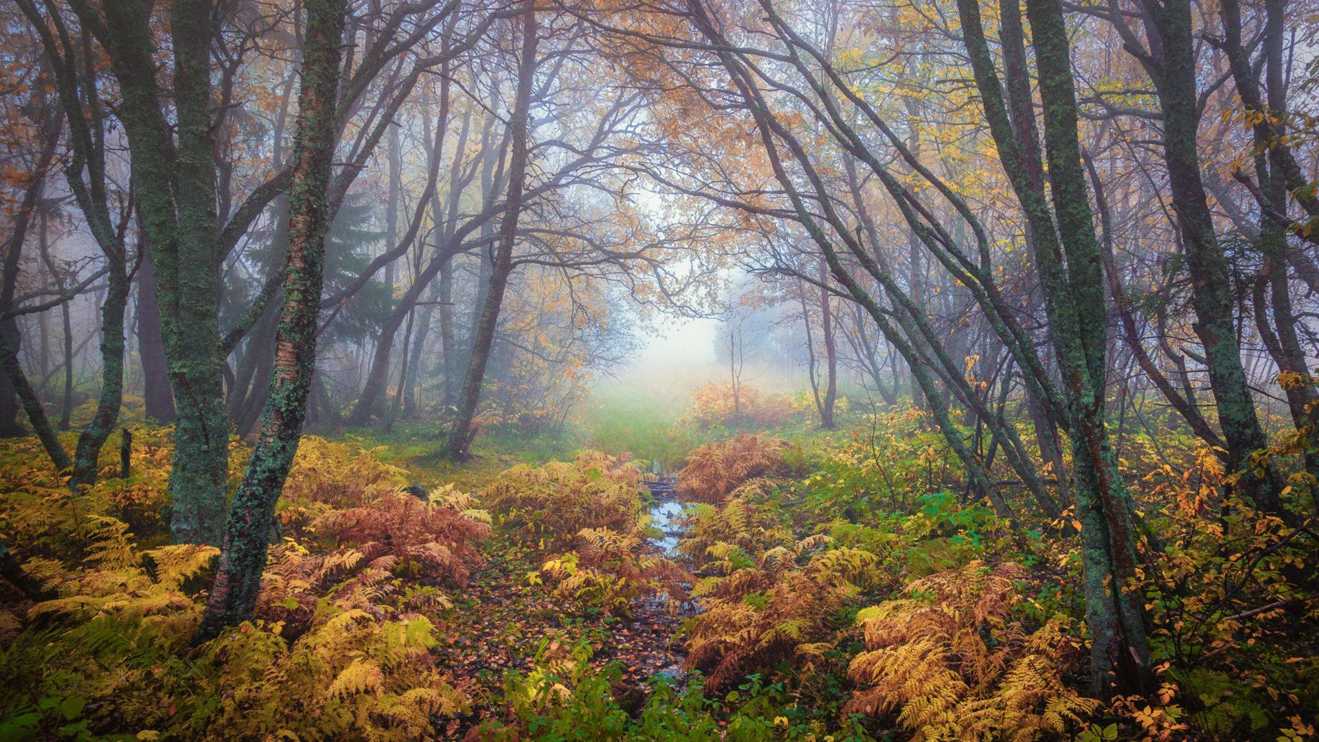 4K Colorful Nature Landscape Wallpapers - Top Free 4K Colorful Nature ...
