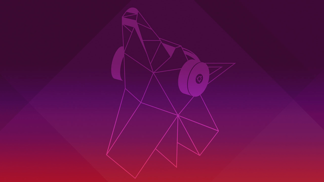 Dingo Wallpapers - Top Free Dingo Backgrounds - WallpaperAccess