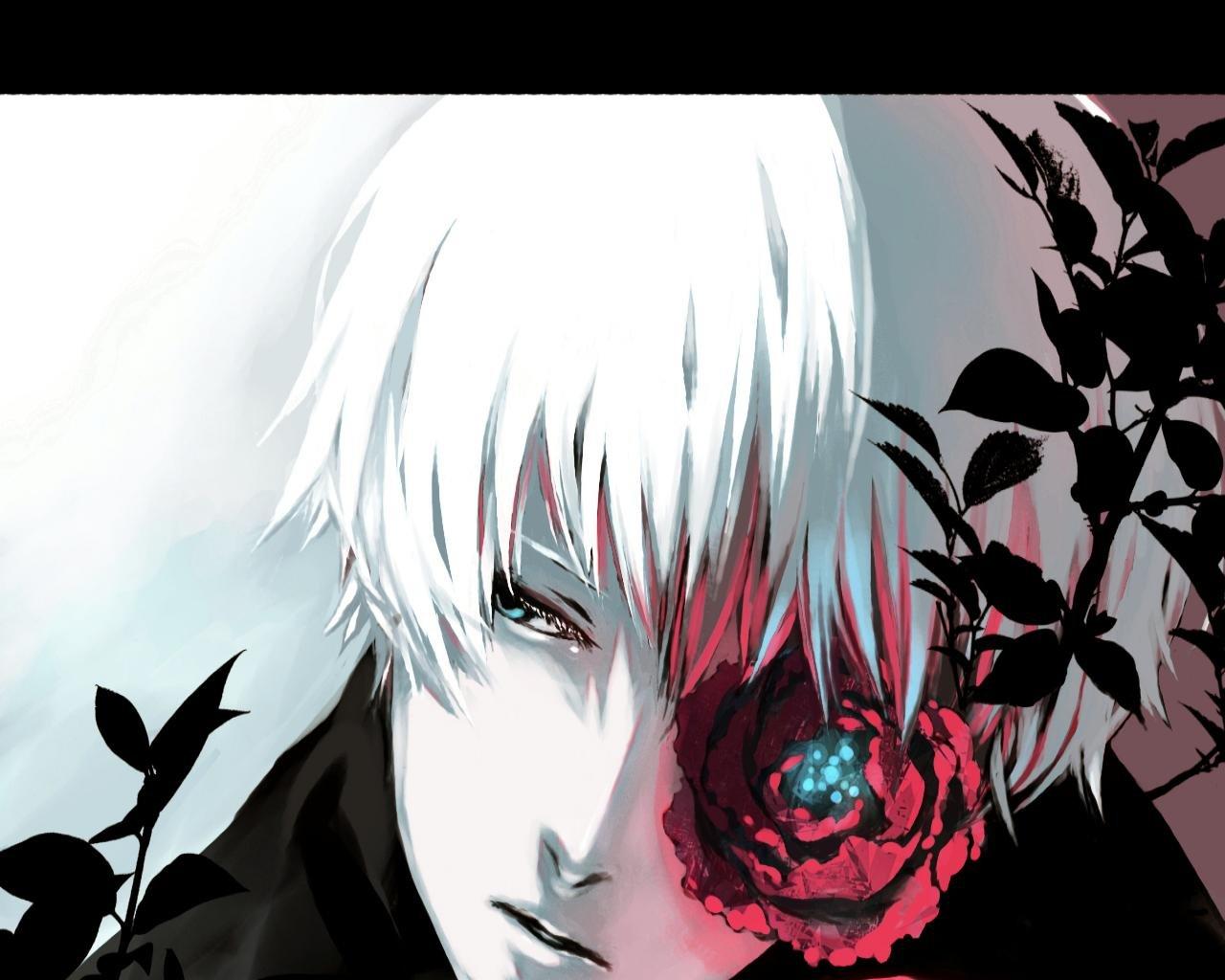 Tokyo Ghoul Dual Monitor Wallpapers - Top Free Tokyo Ghoul Dual Monitor ... Tokyo Ghoul Dual Monitor Wallpapers - Top Free Tokyo Ghoul Dual Monitor ...