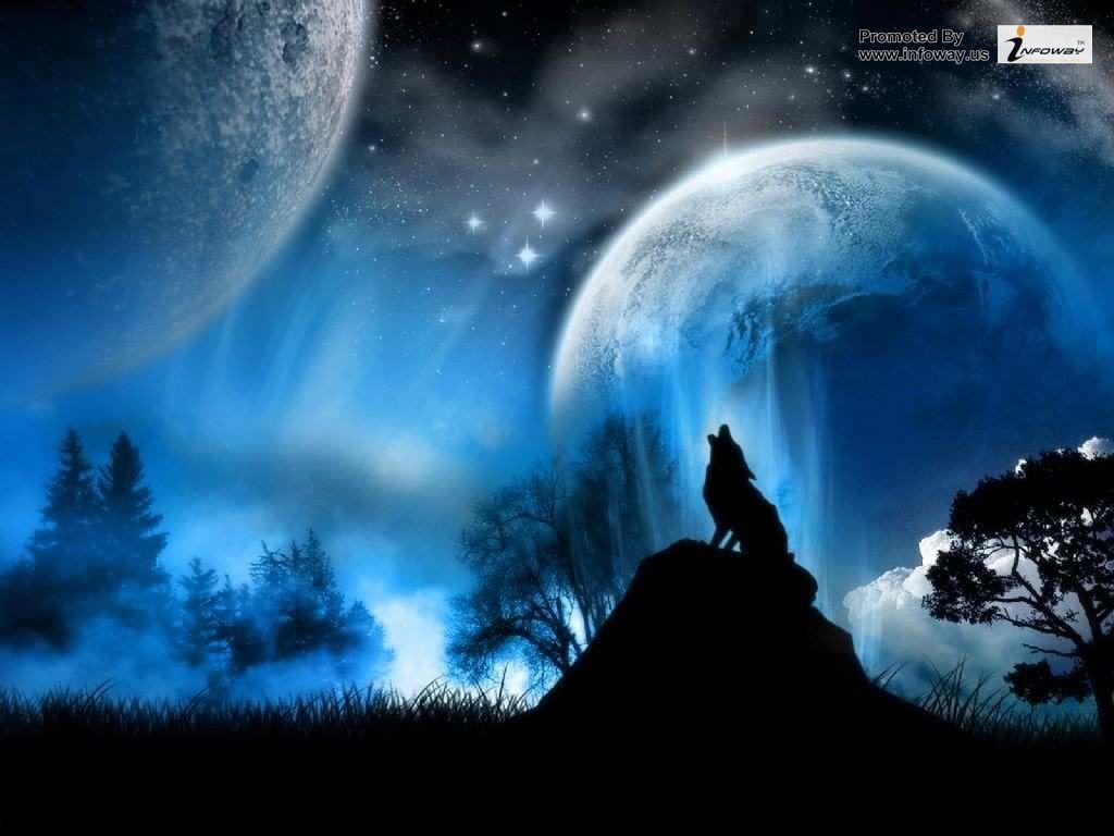Night Wolf Wallpapers - Top Free Night Wolf Backgrounds - WallpaperAccess