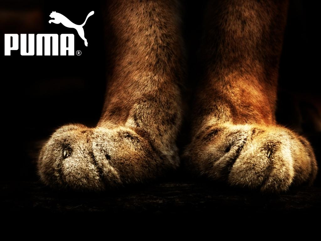 Puma Shoes Wallpapers - Top Free Puma Shoes Backgrounds - WallpaperAccess