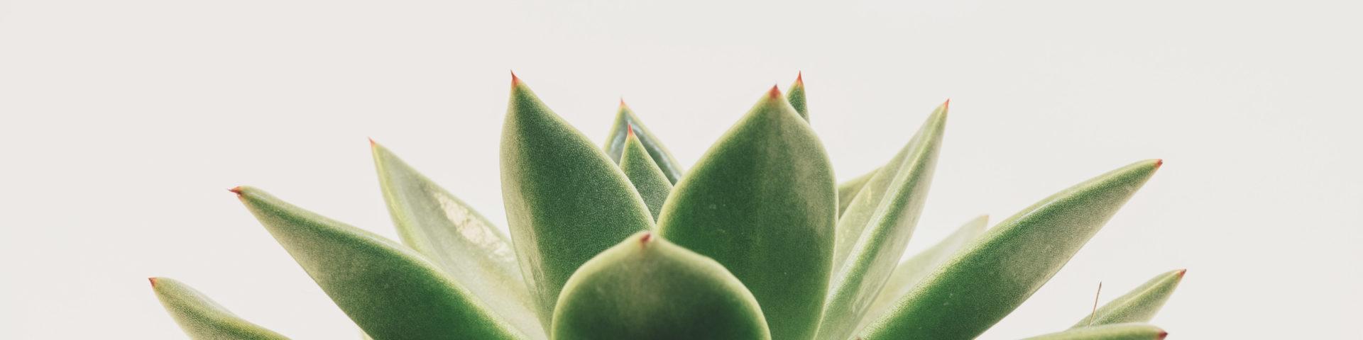 1920x480 Wallpapers - Top Free 1920x480 Backgrounds - WallpaperAccess