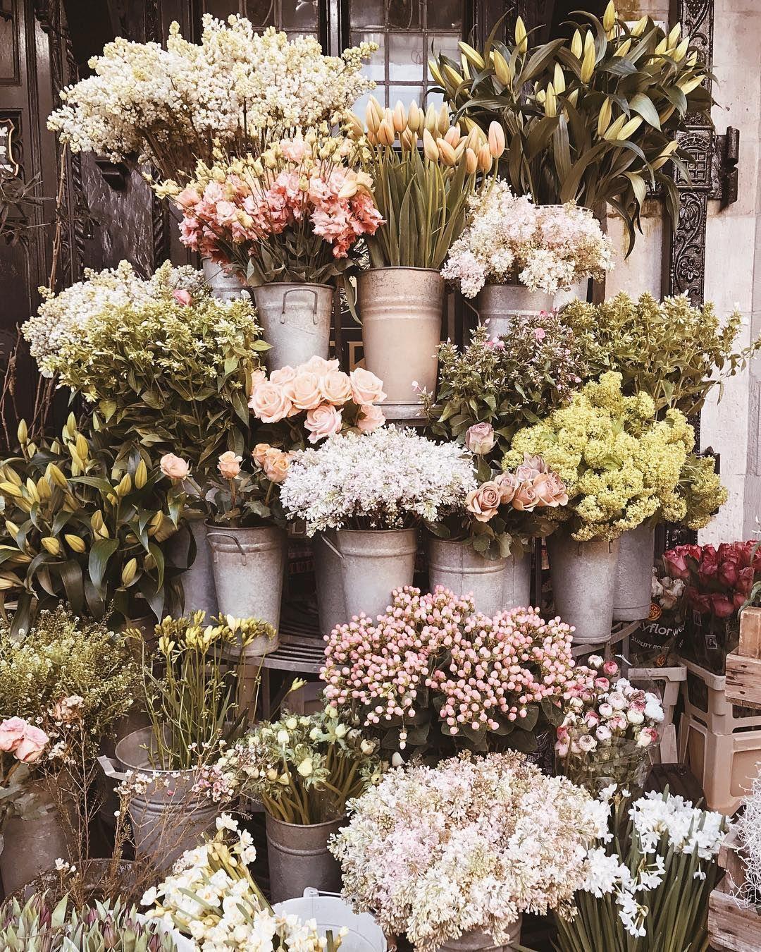 Flower Shop Wallpapers - Top Free Flower Shop Backgrounds - WallpaperAccess