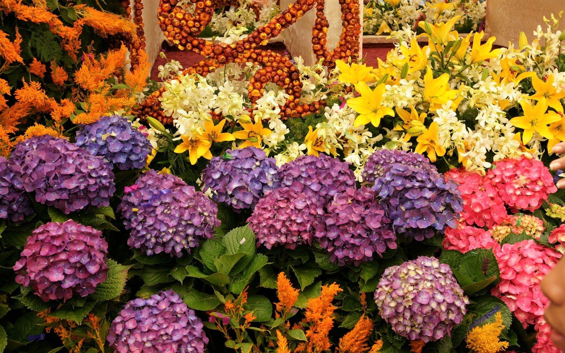 Flower Shop Wallpapers - Top Free Flower Shop Backgrounds - WallpaperAccess