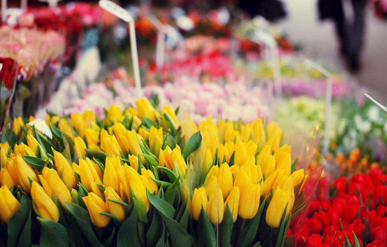 Flower Shop Wallpapers - Top Free Flower Shop Backgrounds - WallpaperAccess