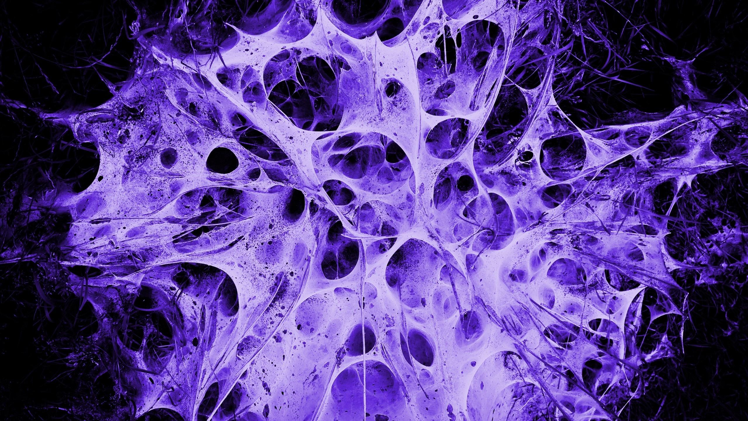 Purple World Wallpapers - Top Free Purple World Backgrounds ...