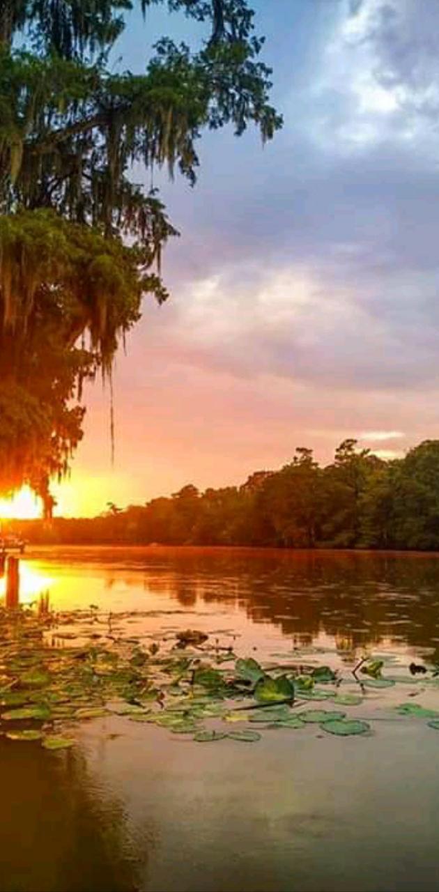 Bayou Wallpapers - Top Free Bayou Backgrounds - WallpaperAccess