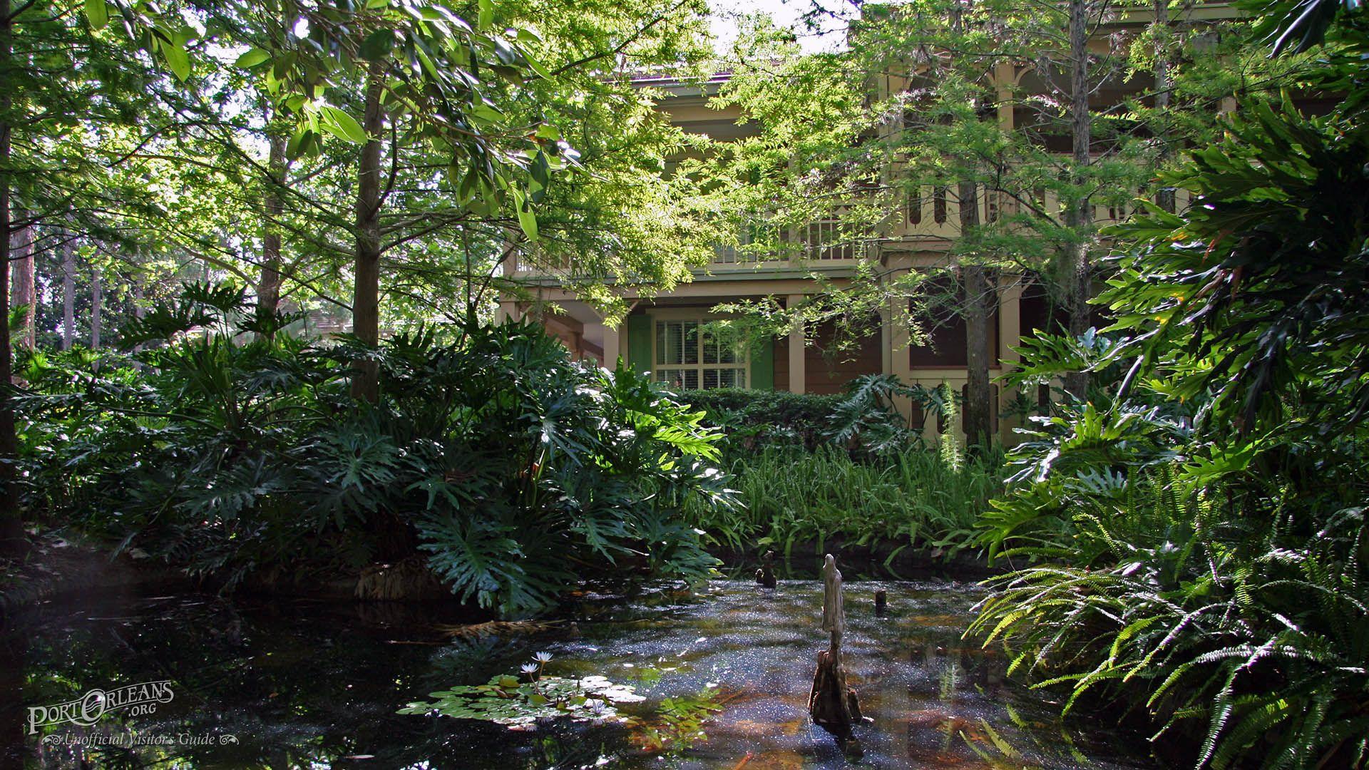 Bayou Wallpapers - Top Free Bayou Backgrounds - WallpaperAccess