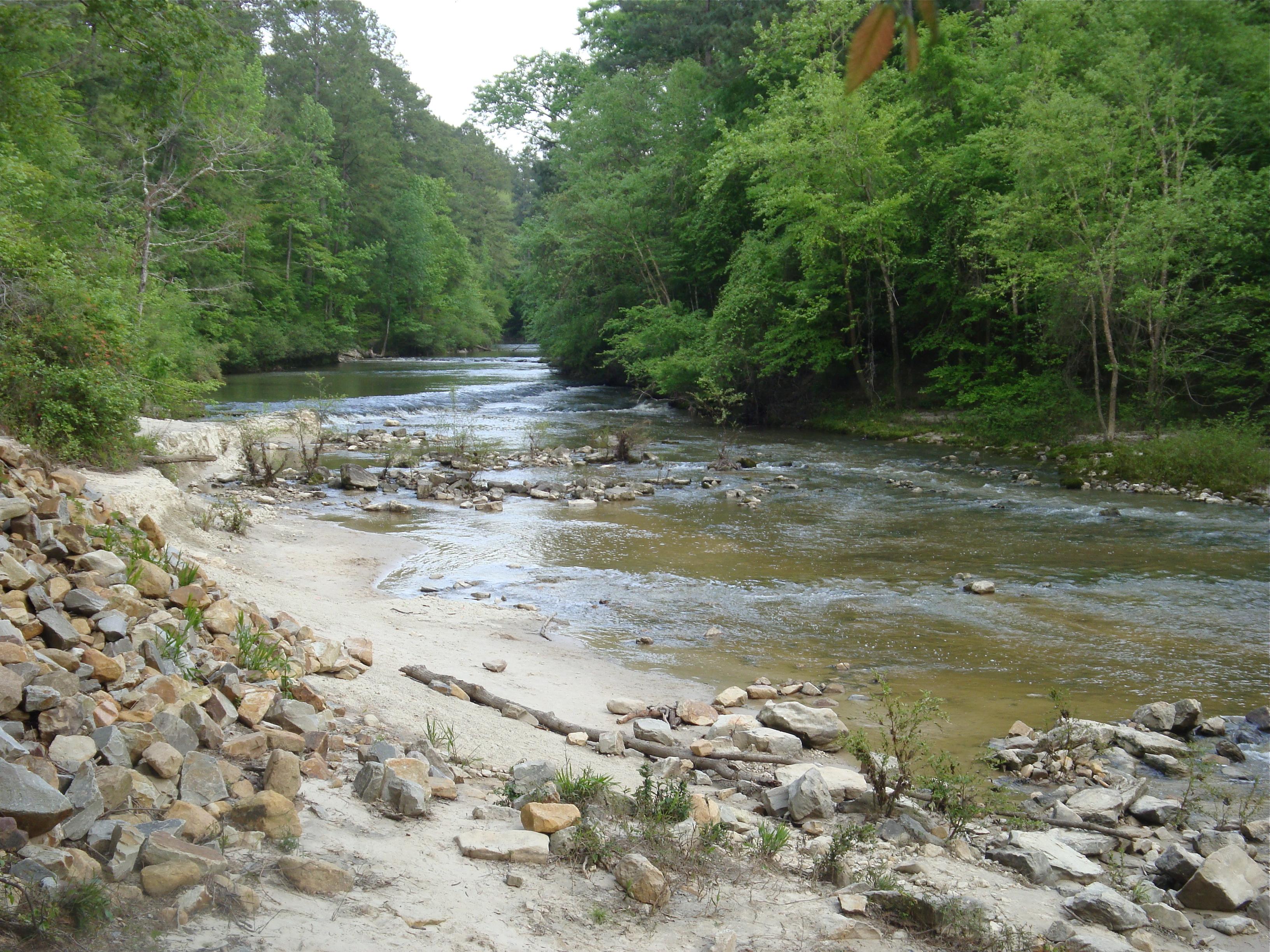 Bayou Wallpapers - Top Free Bayou Backgrounds - WallpaperAccess