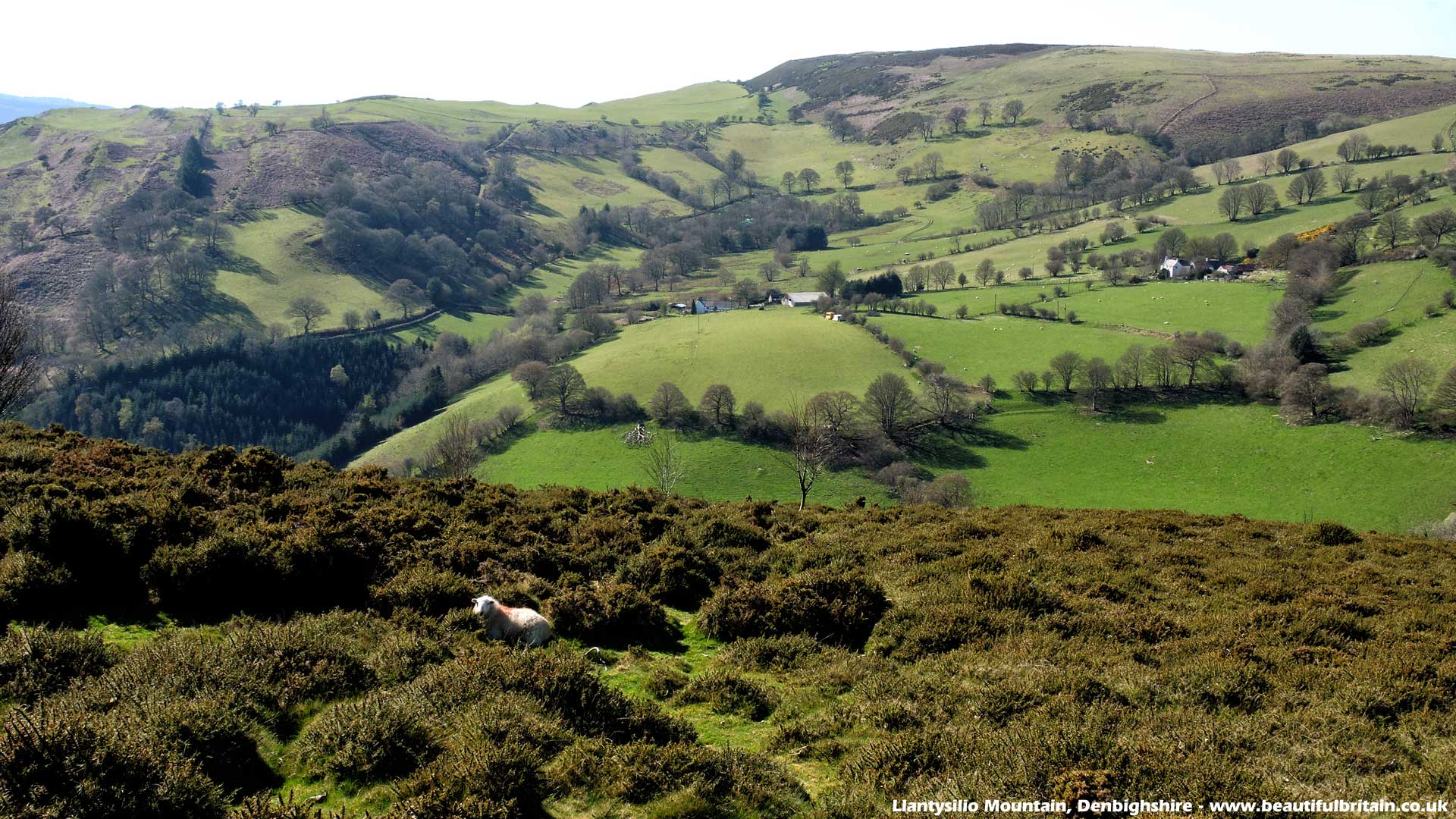 British Countryside Wallpapers - Top Free British Countryside ...