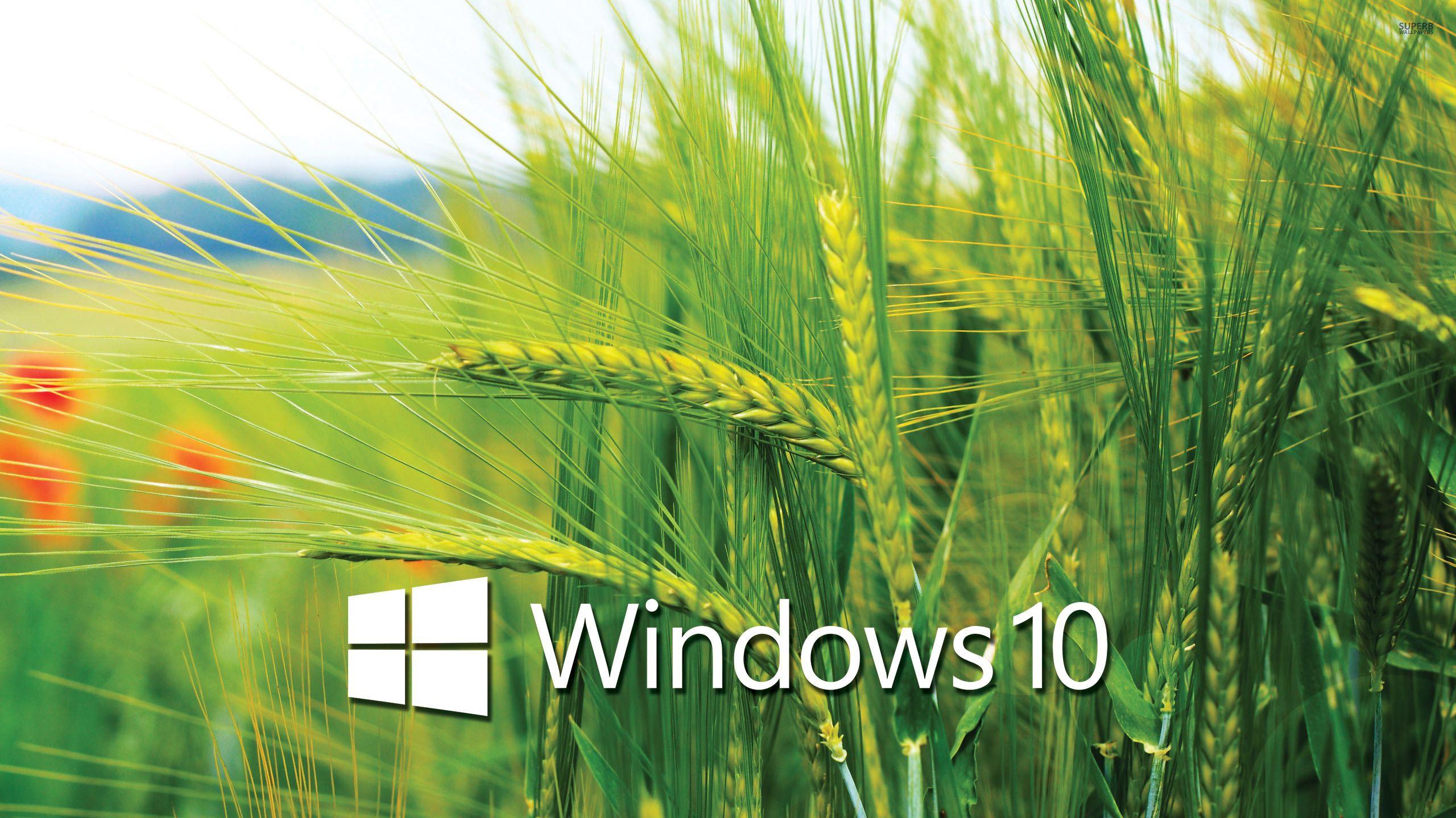 Windows Laptop Wallpapers - Top Free Windows Laptop Backgrounds ...