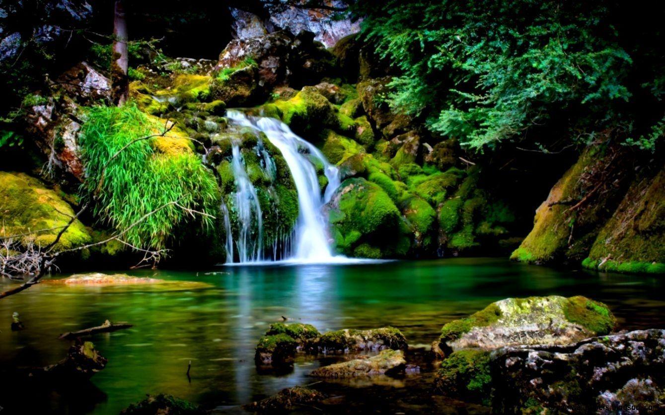 Windows Laptop Wallpapers - Top Free Windows Laptop Backgrounds ...