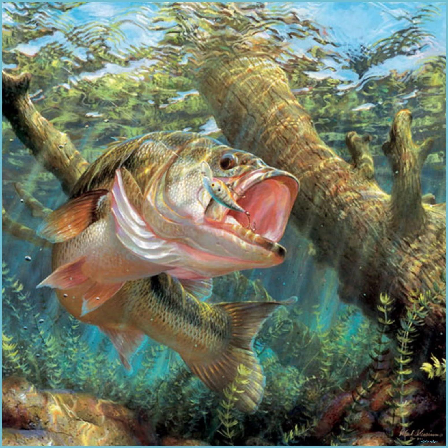 Aesthetic Fish Wallpapers - Top Free Aesthetic Fish Backgrounds ...