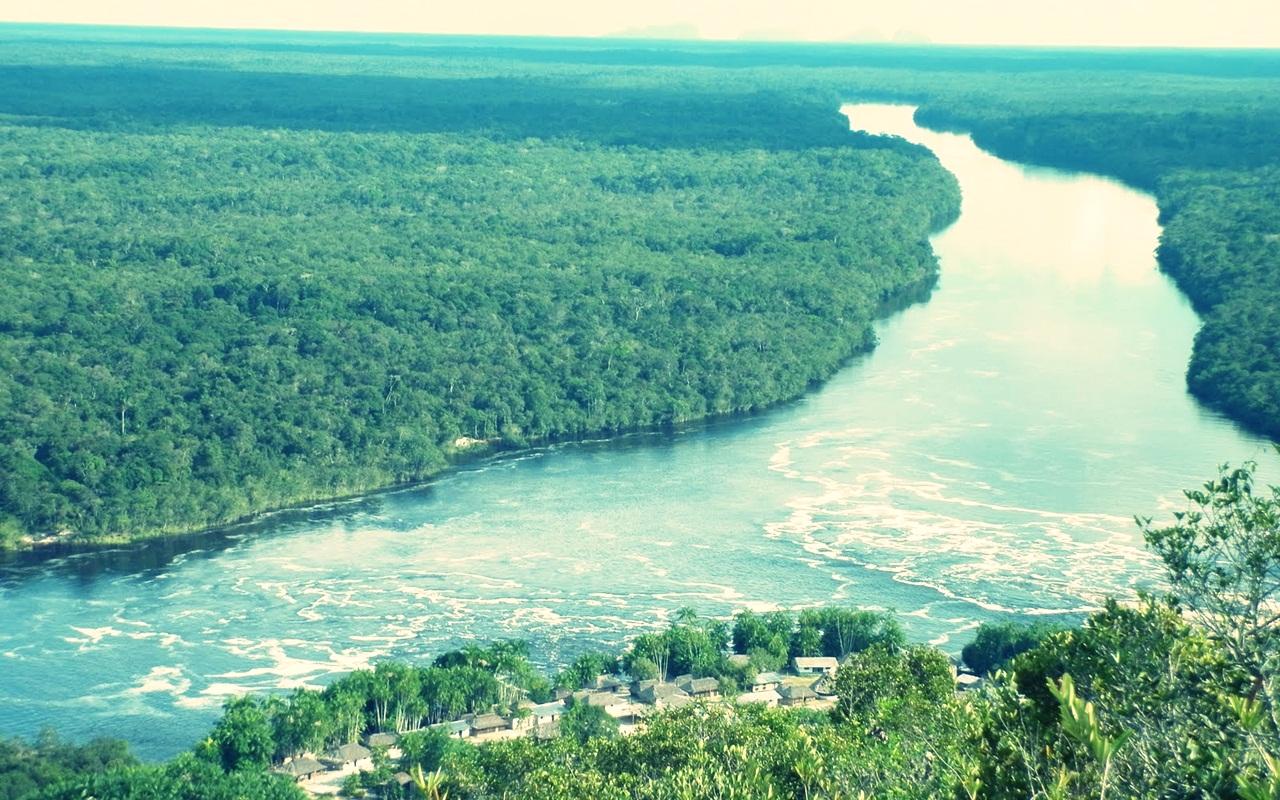 Amazonia Wallpapers - Top Free Amazonia Backgrounds - WallpaperAccess