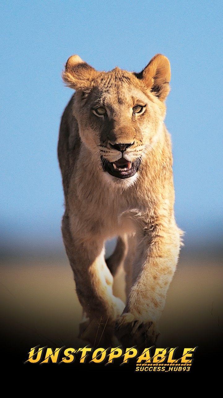 Unstoppable Wallpapers - Top Free Unstoppable Backgrounds - WallpaperAccess