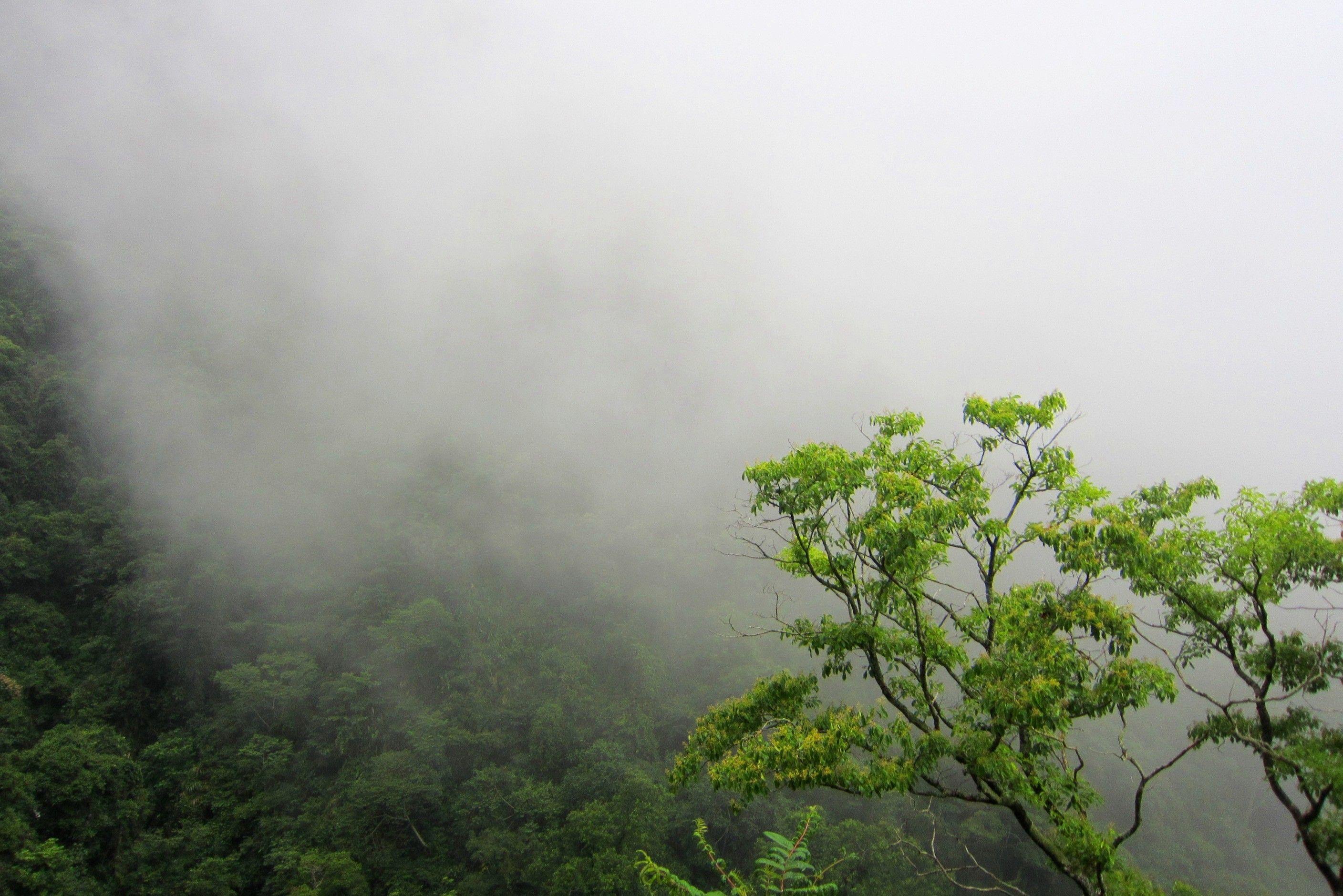 Mountain Rain HD Wallpapers - Top Free Mountain Rain HD Backgrounds ...