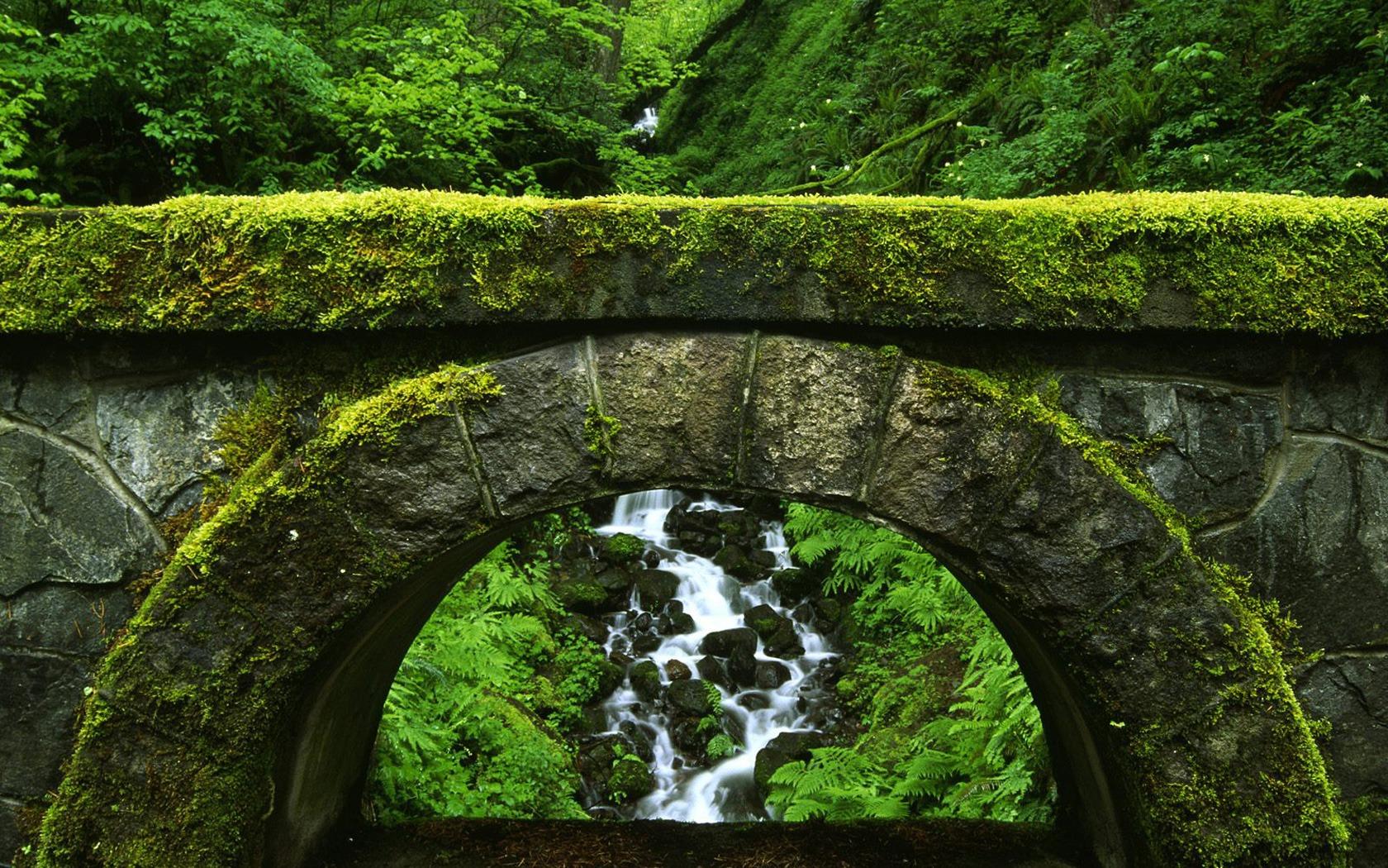 Old Bridge Wallpapers - Top Free Old Bridge Backgrounds - WallpaperAccess