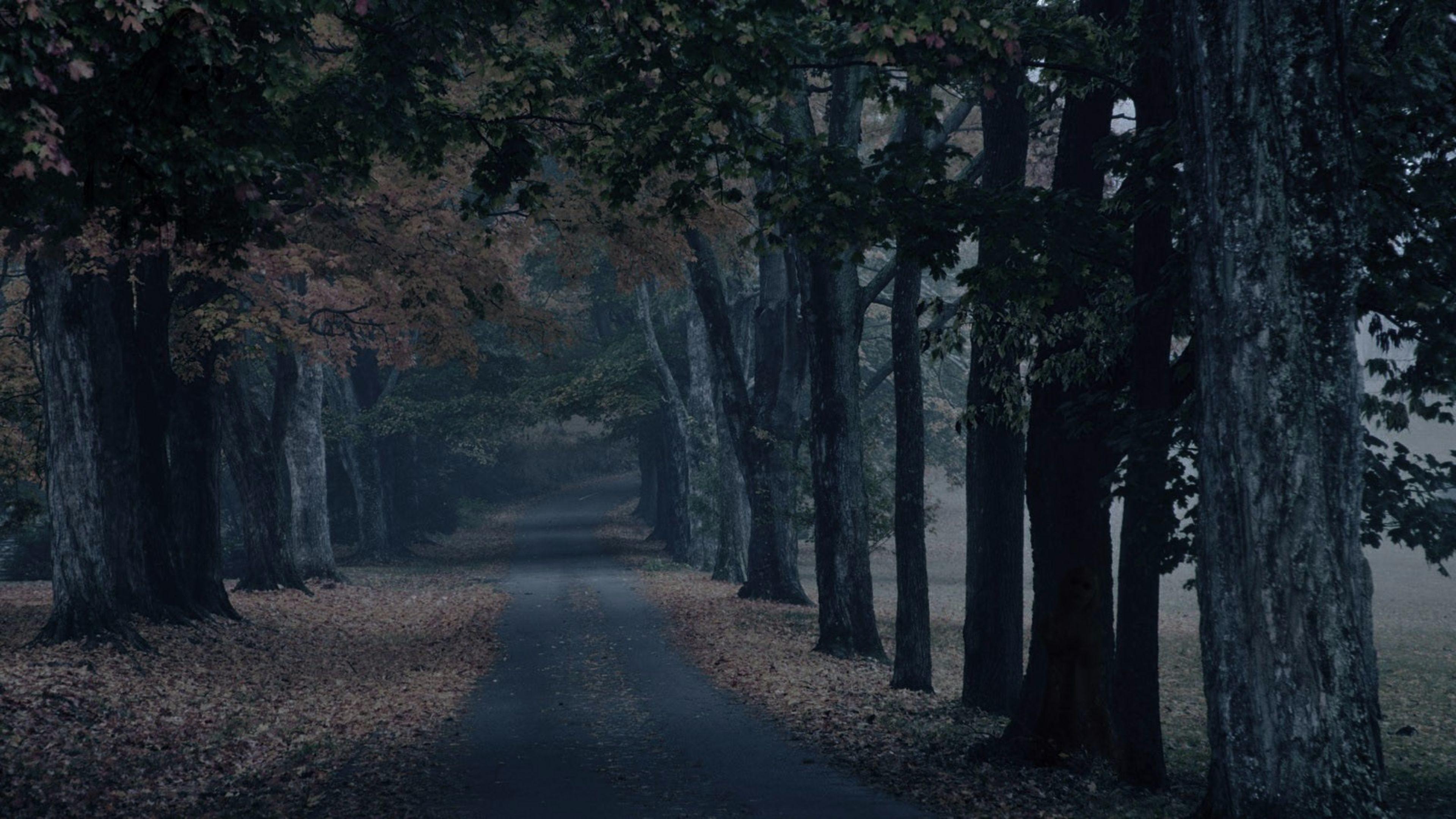Scary Road Wallpapers - Top Free Scary Road Backgrounds - WallpaperAccess