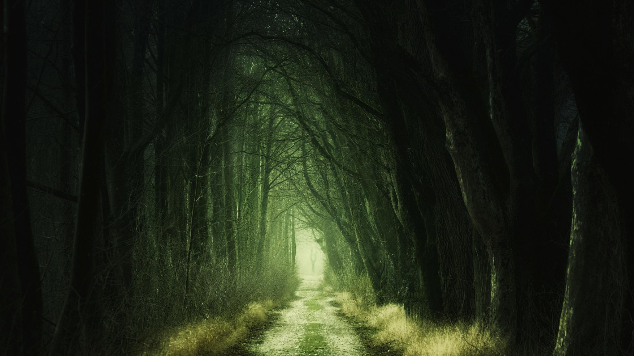 Scary Road Wallpapers - Top Free Scary Road Backgrounds - WallpaperAccess