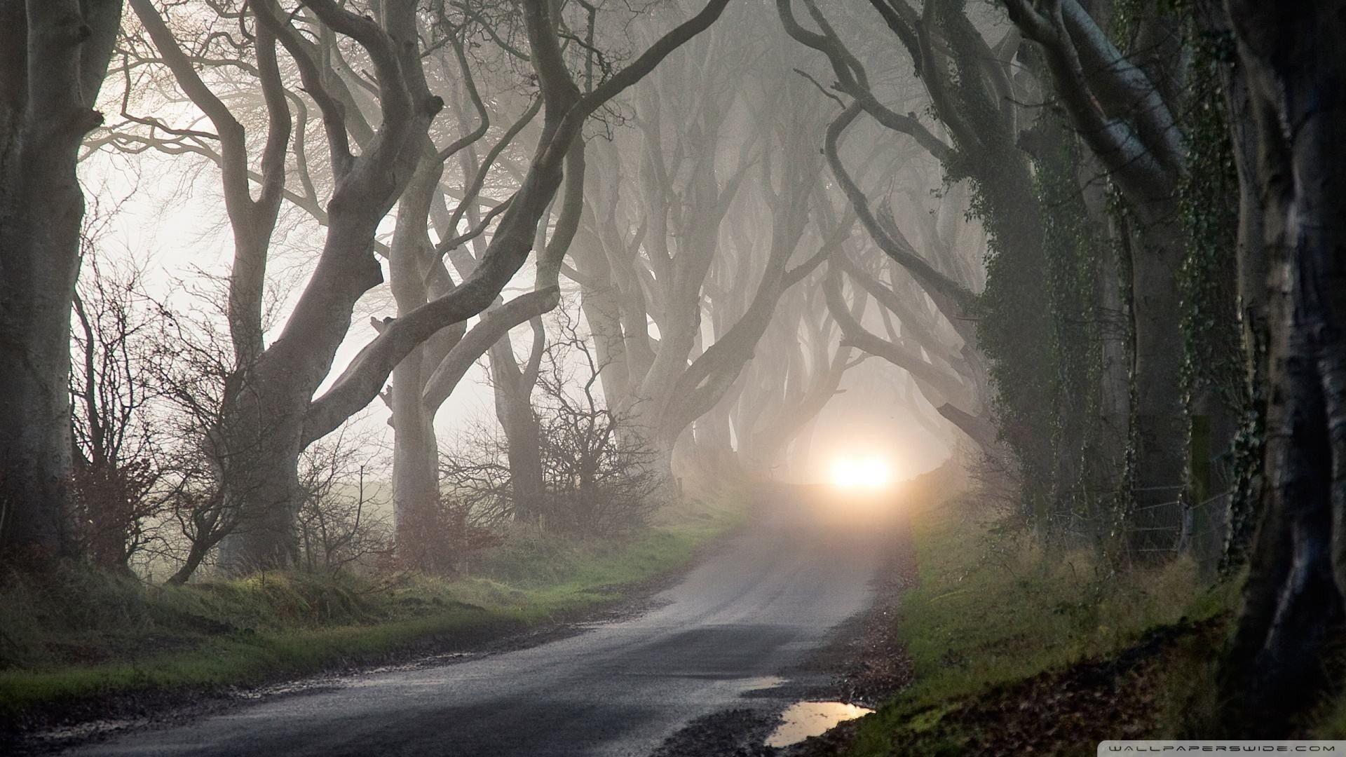 Scary Road Wallpapers - Top Free Scary Road Backgrounds - WallpaperAccess
