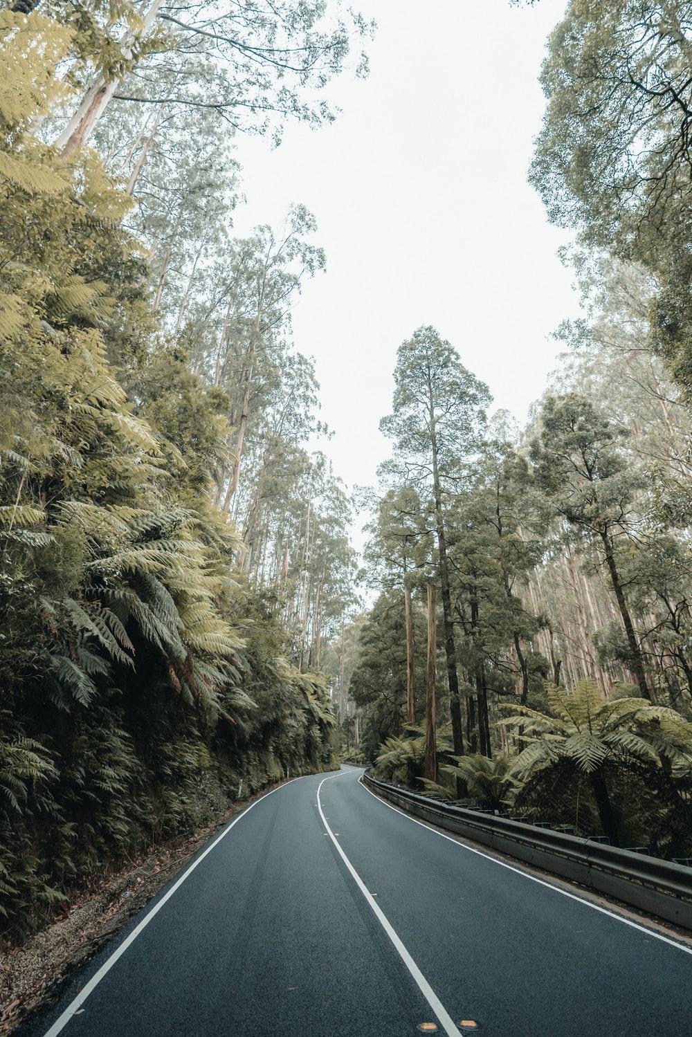 Scary Road Wallpapers - Top Free Scary Road Backgrounds - WallpaperAccess