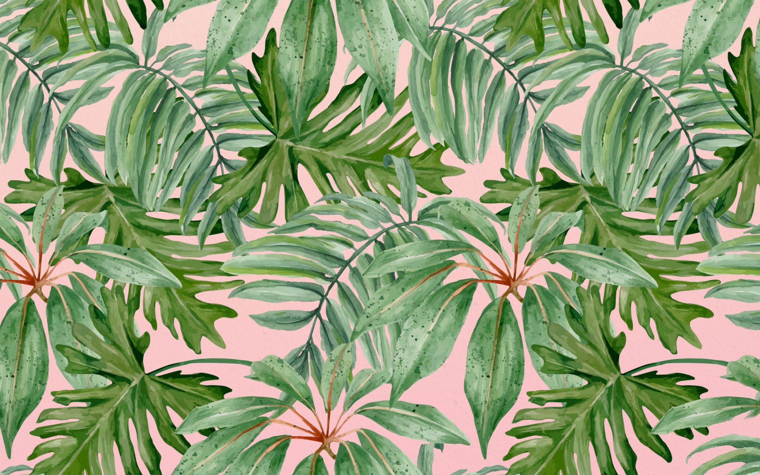 Tropical Leaves Wallpapers Top Free Tropical Leaves Backgrounds