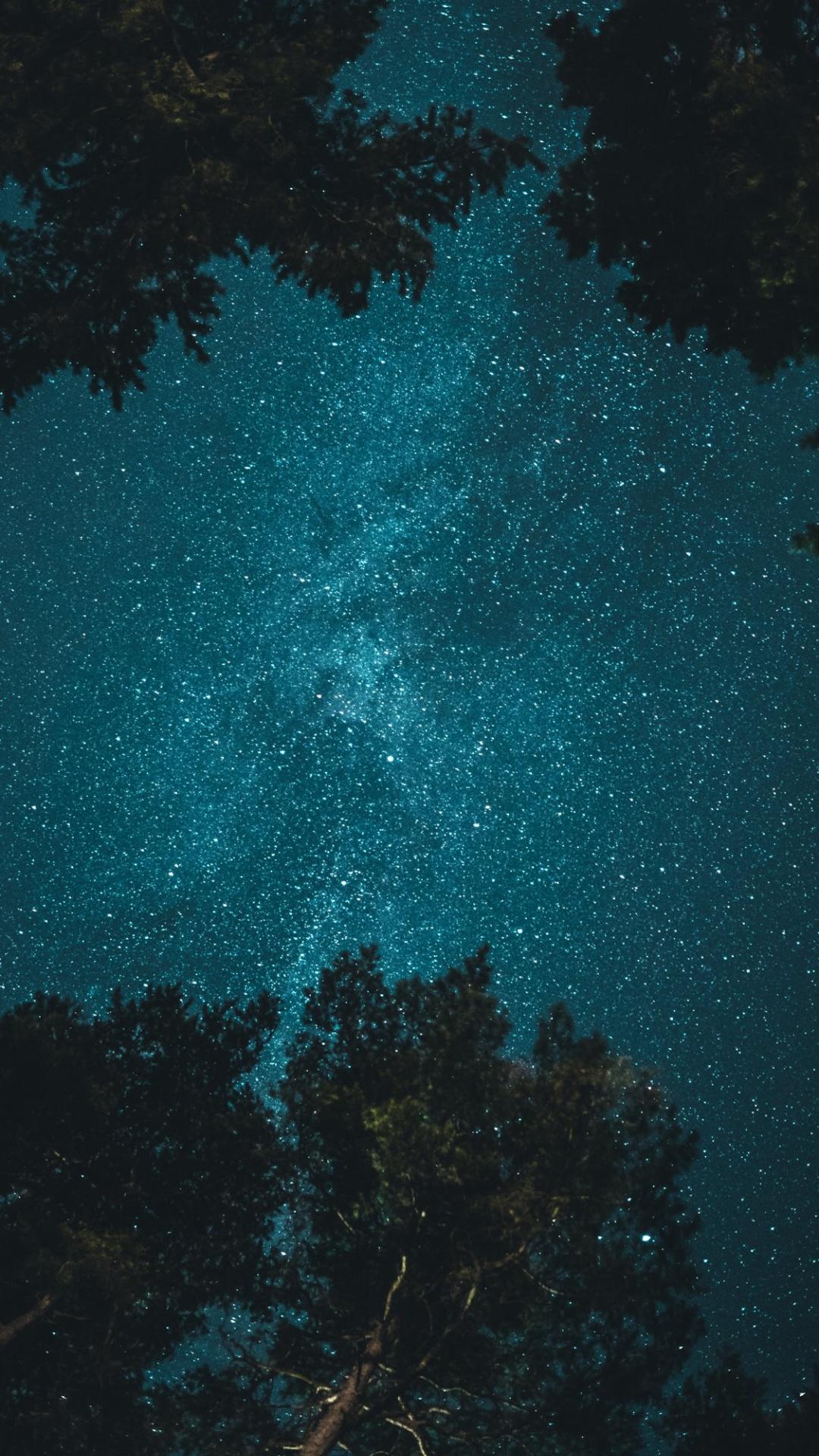 Blue Starry Night Wallpapers - Top Free Blue Starry Night Backgrounds ...