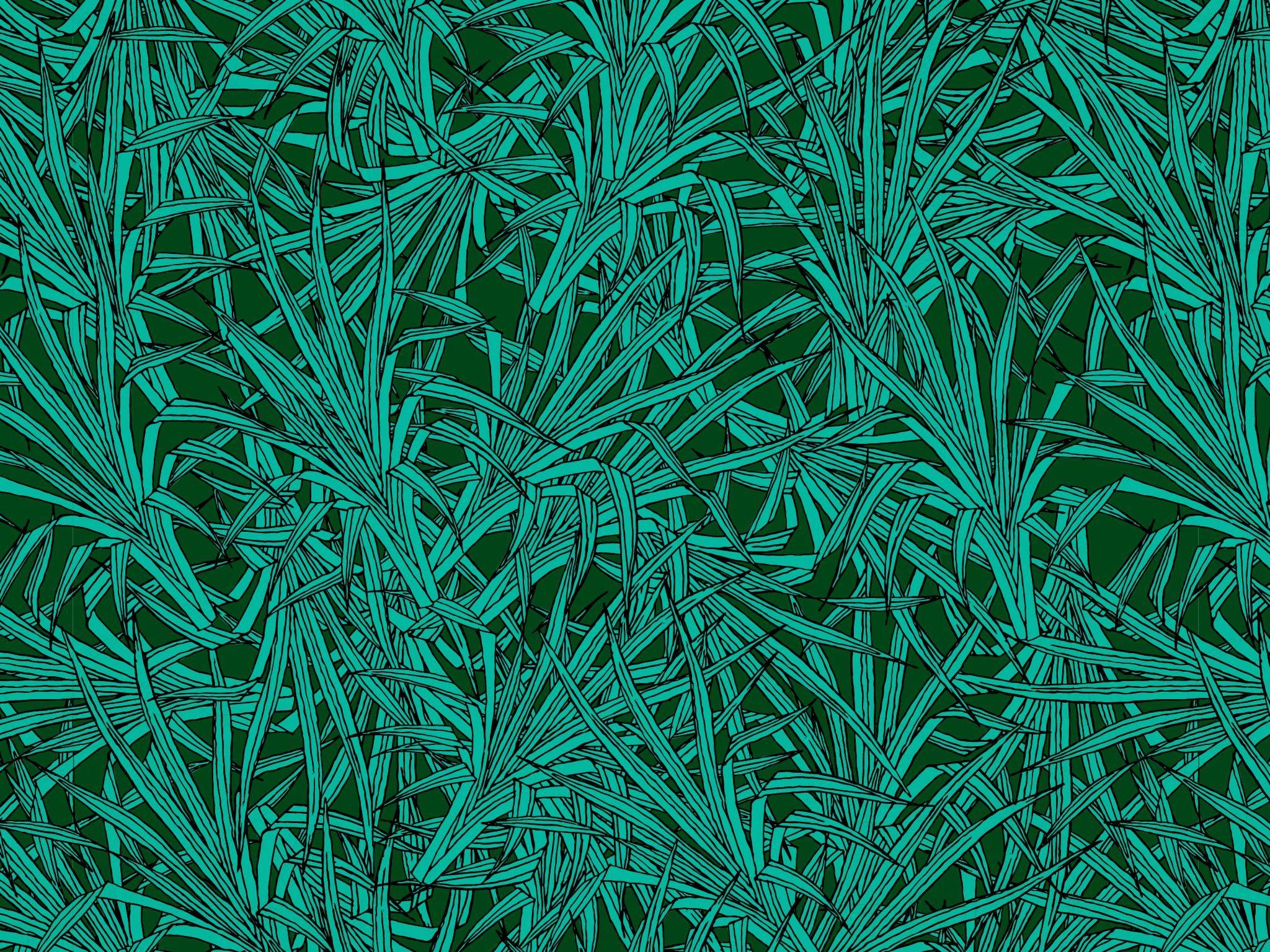 Palm Desktop Wallpapers - Top Free Palm Desktop Backgrounds ...