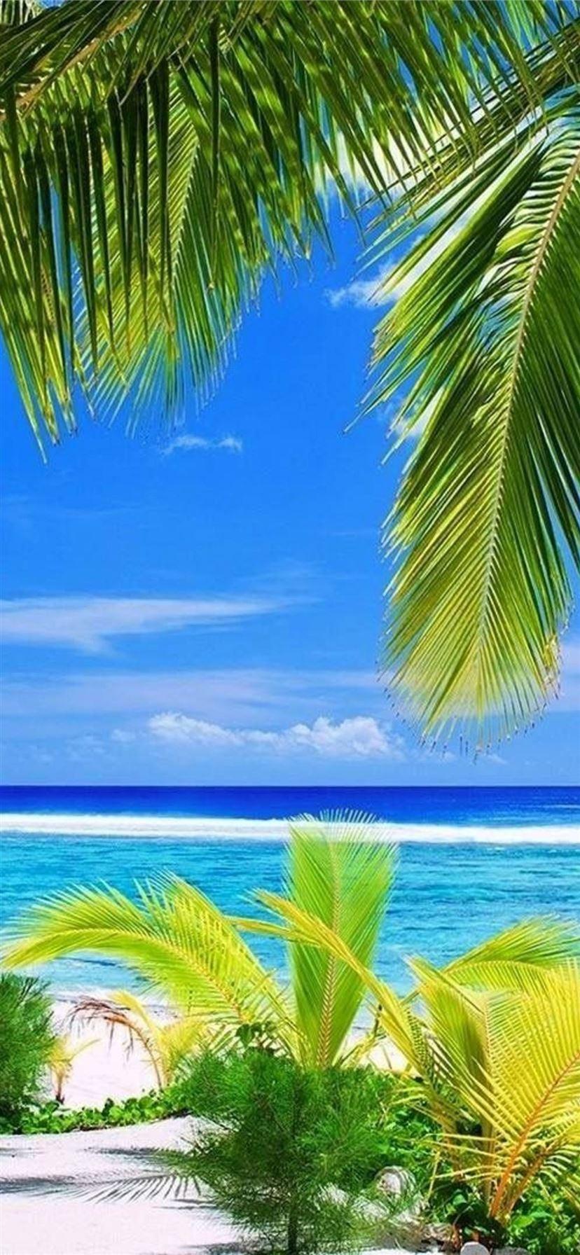 iPhone Island Wallpapers - Top Free iPhone Island Backgrounds ...