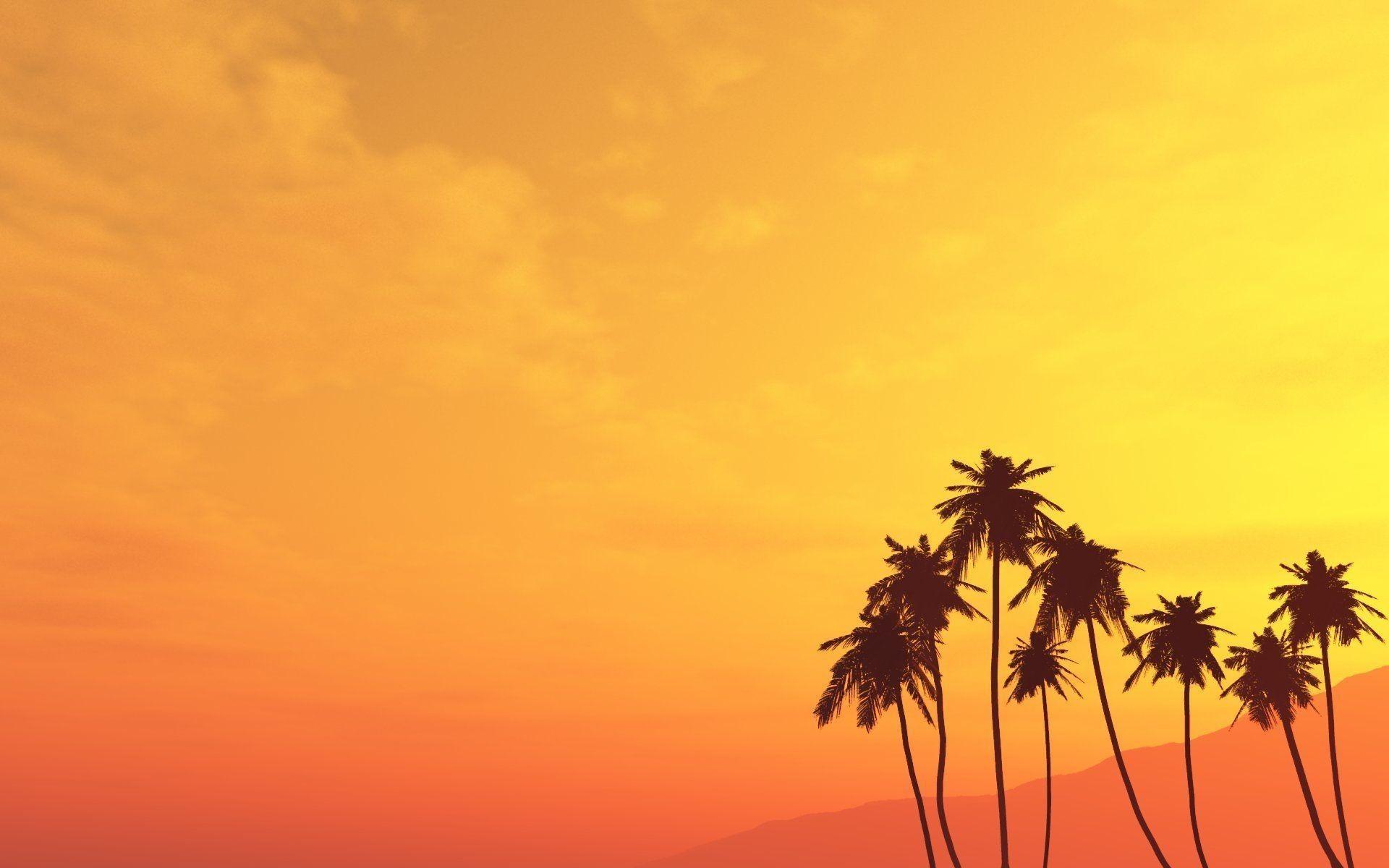 Palm Desktop Wallpapers - Top Free Palm Desktop Backgrounds ...