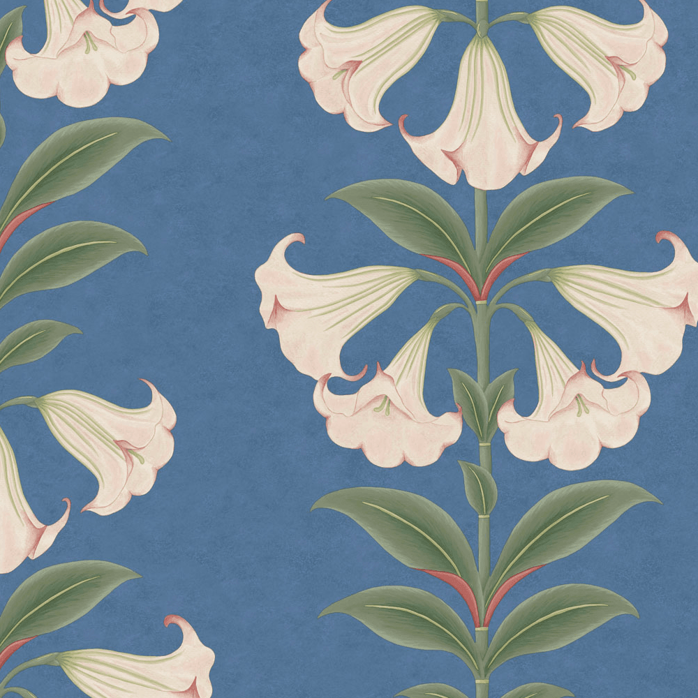 Angel Trumpet Wallpapers - Top Free Angel Trumpet Backgrounds ...