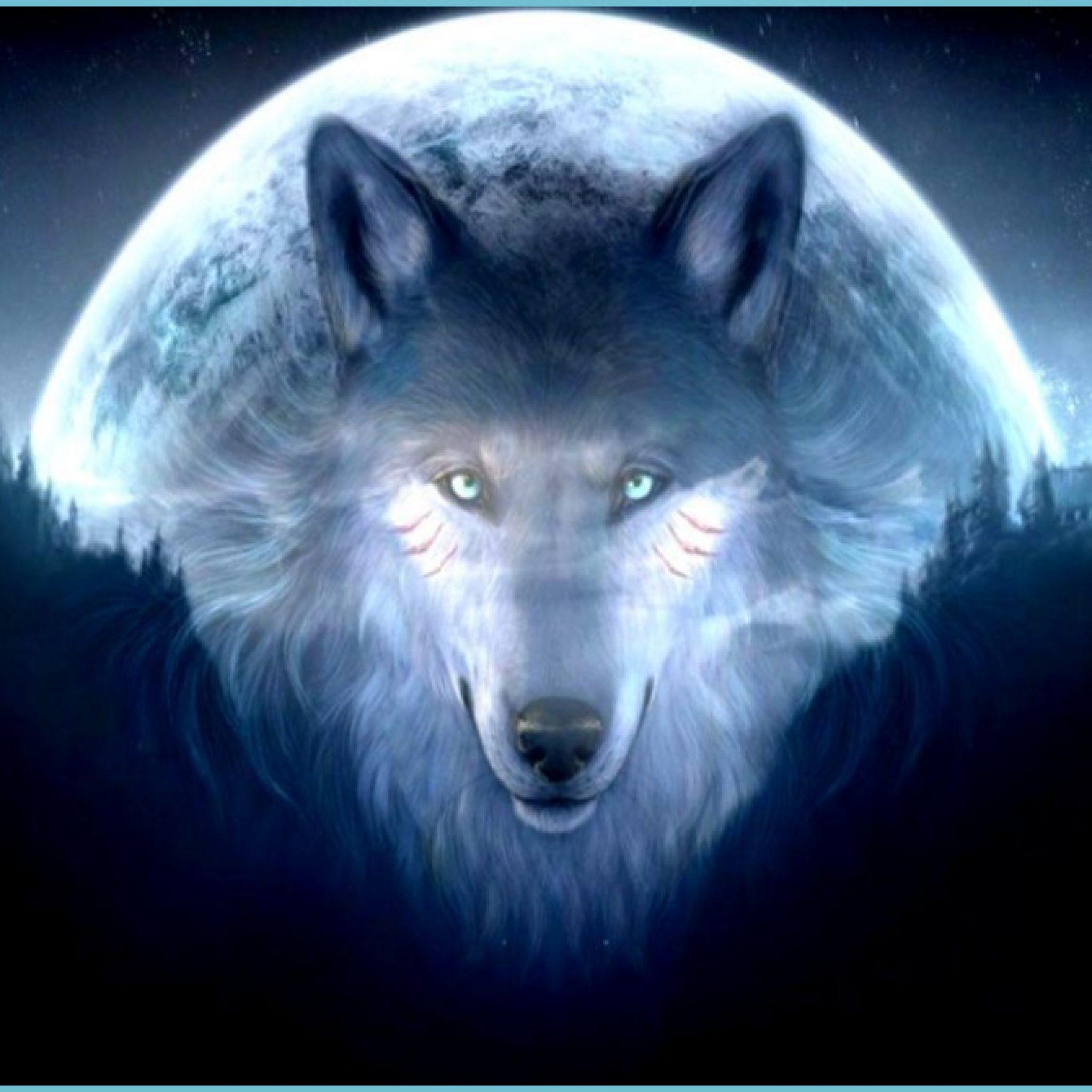 Amazing Wolf Wallpapers - Top Free Amazing Wolf Backgrounds ...