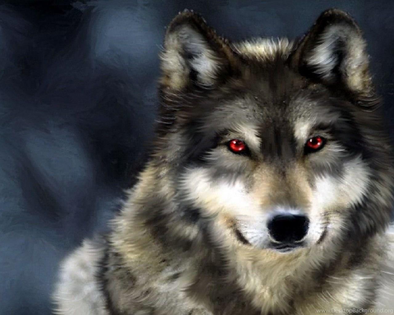 Amazing Wolf Wallpapers - Top Free Amazing Wolf Backgrounds ...
