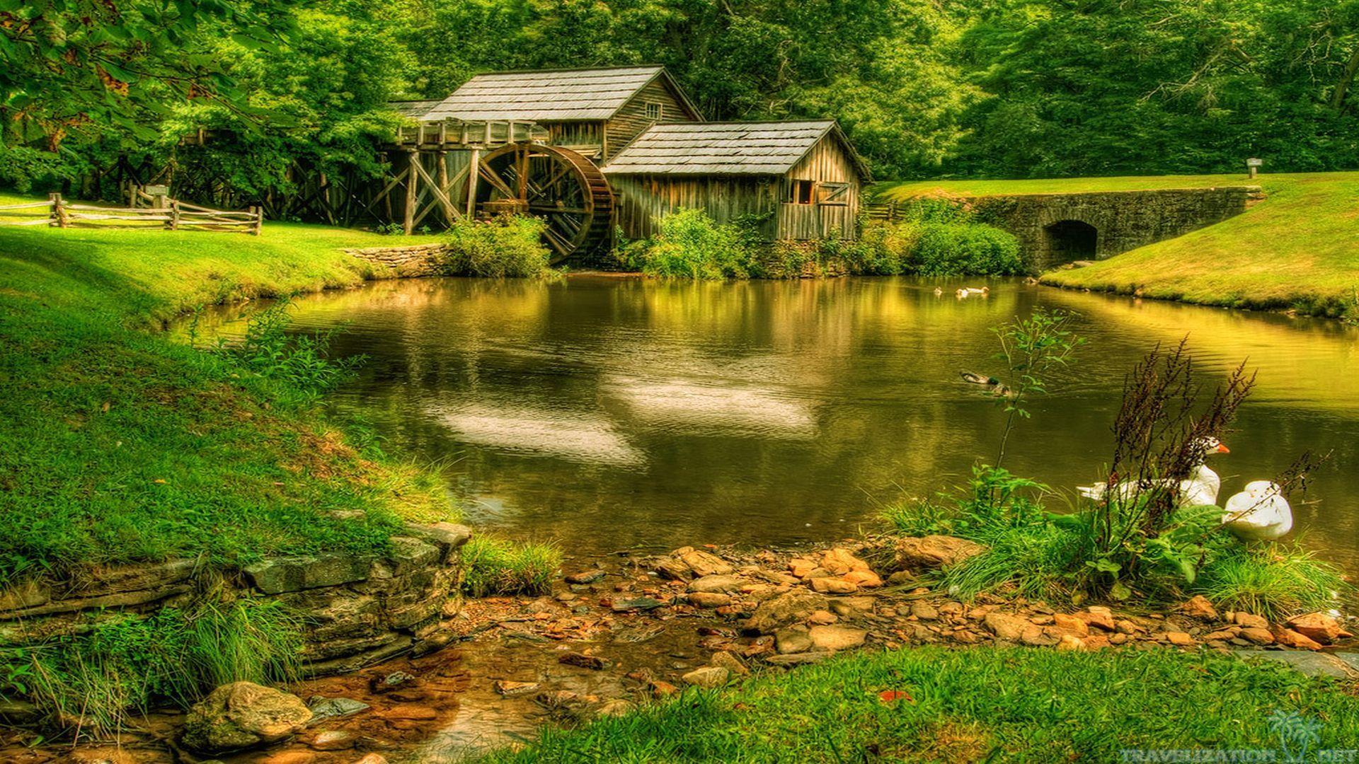 Forest Scene Wallpapers - Top Free Forest Scene Backgrounds ...