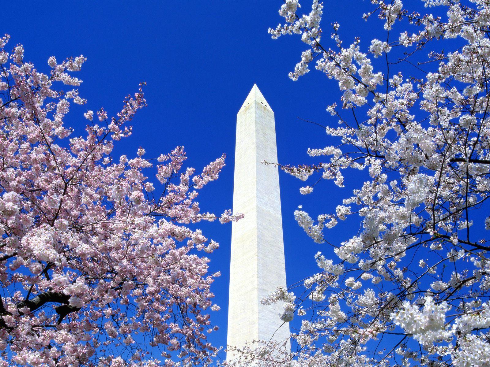 DC Spring Desktop Wallpapers - Top Free DC Spring Desktop Backgrounds ...