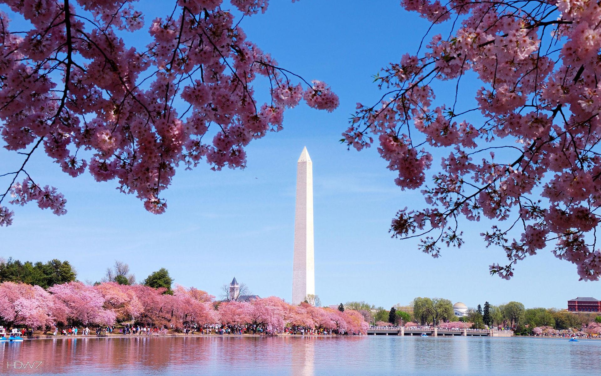 Washington Monument Wallpapers - Top Free Washington Monument ...