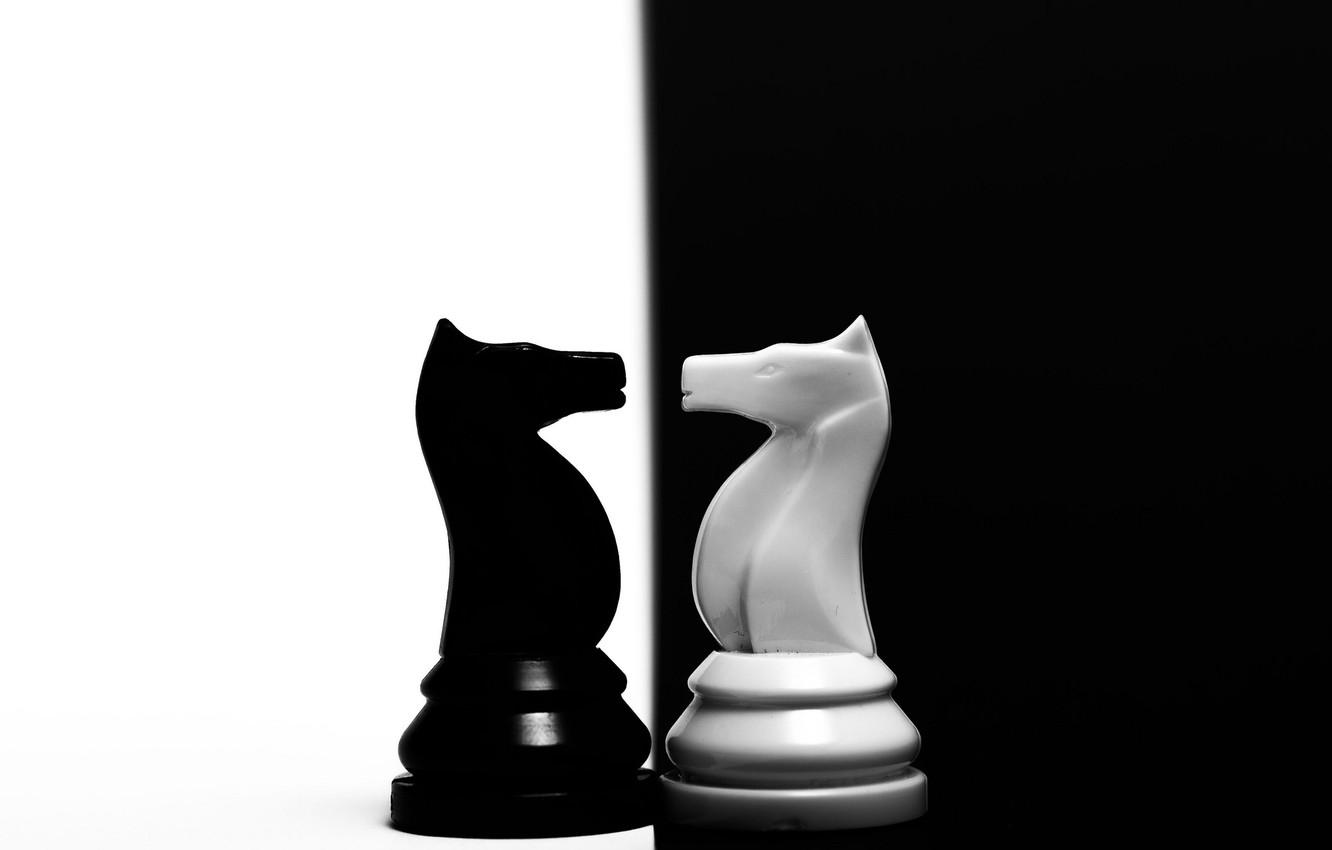 Chess Horse Wallpapers - Top Free Chess Horse Backgrounds - WallpaperAccess