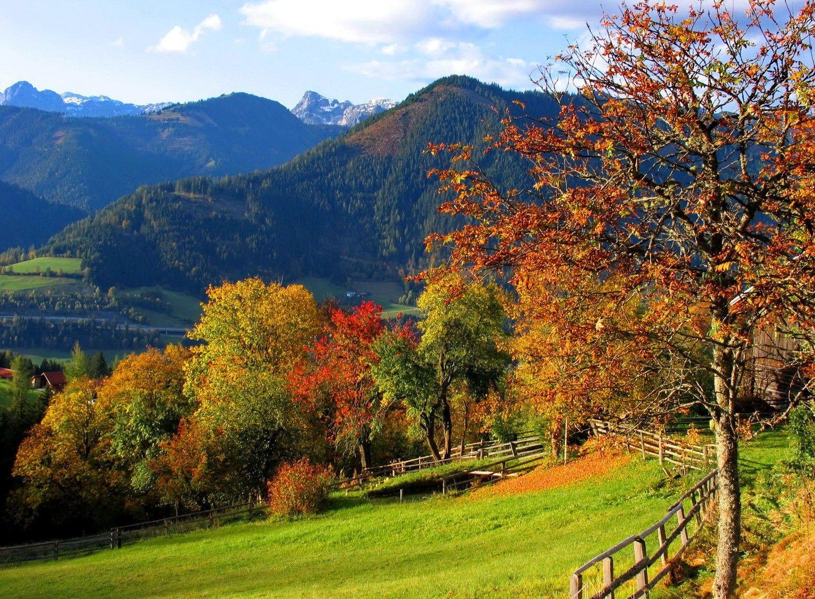 Mountain Fall Foliage Wallpapers - Top Free Mountain Fall Foliage ...